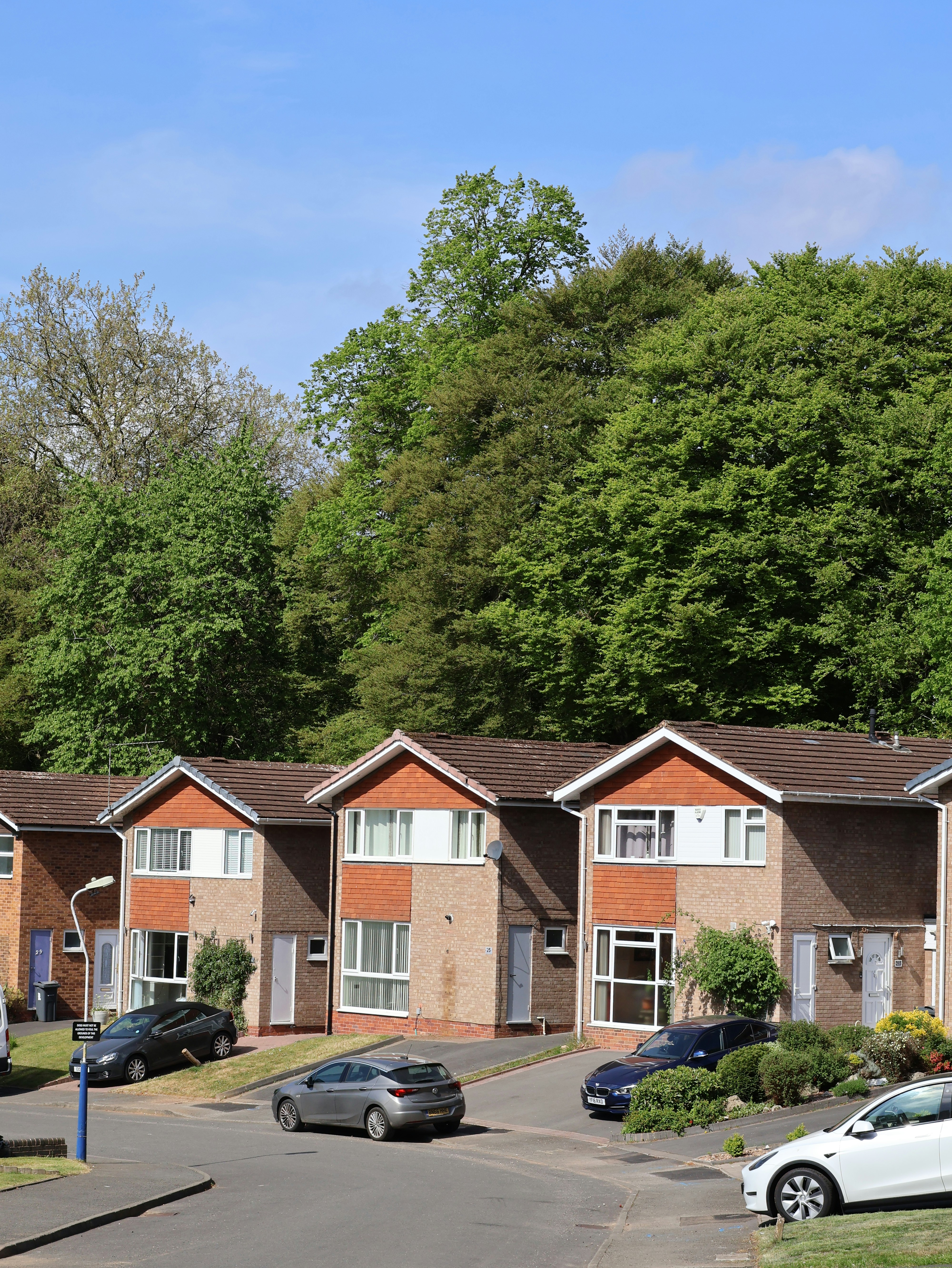 Row of Brick Townhouses Under a Clear Spring Sky