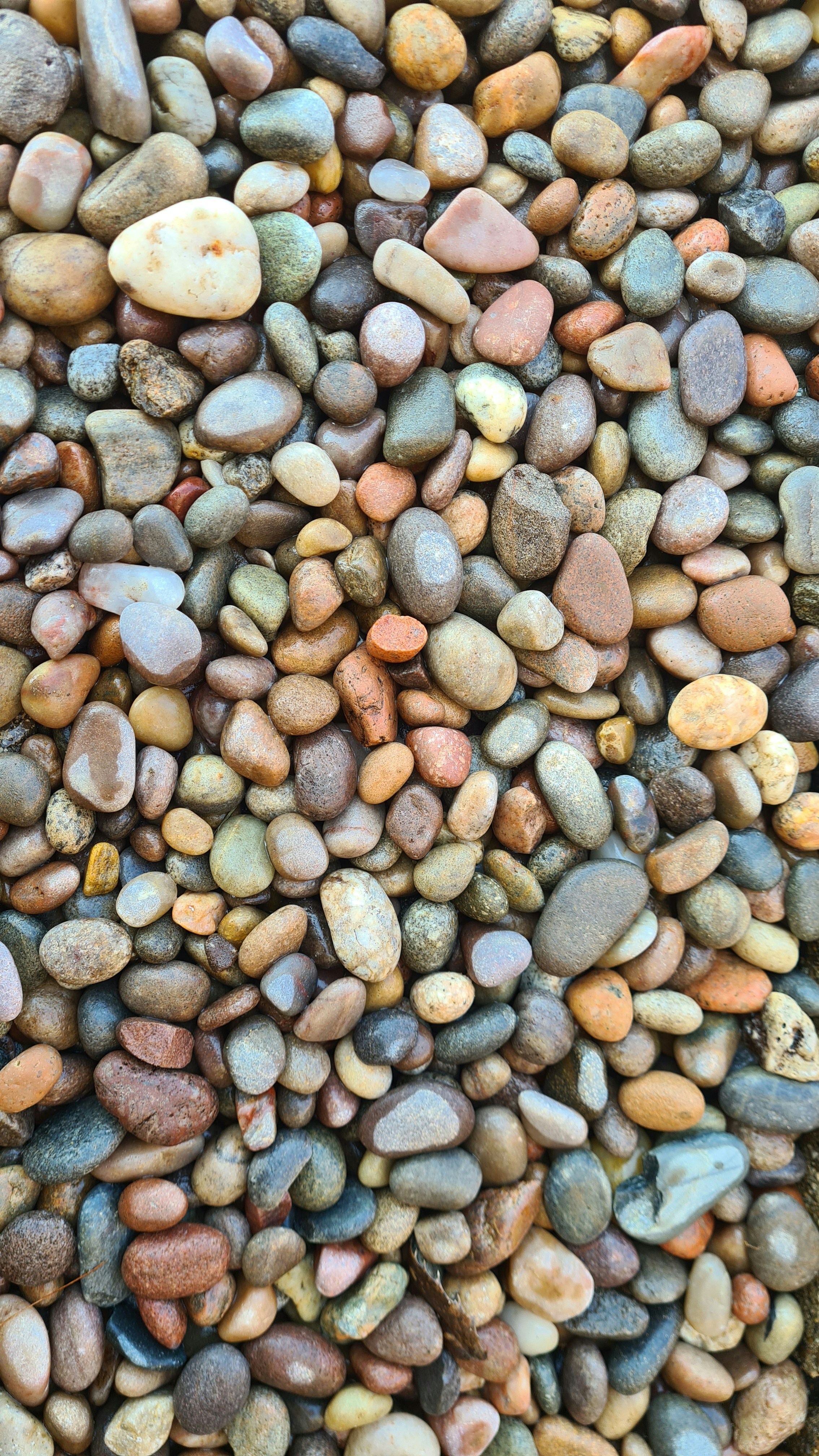 Pebble Mosaic: A Close-Up of Sea-Bed Colored Stones