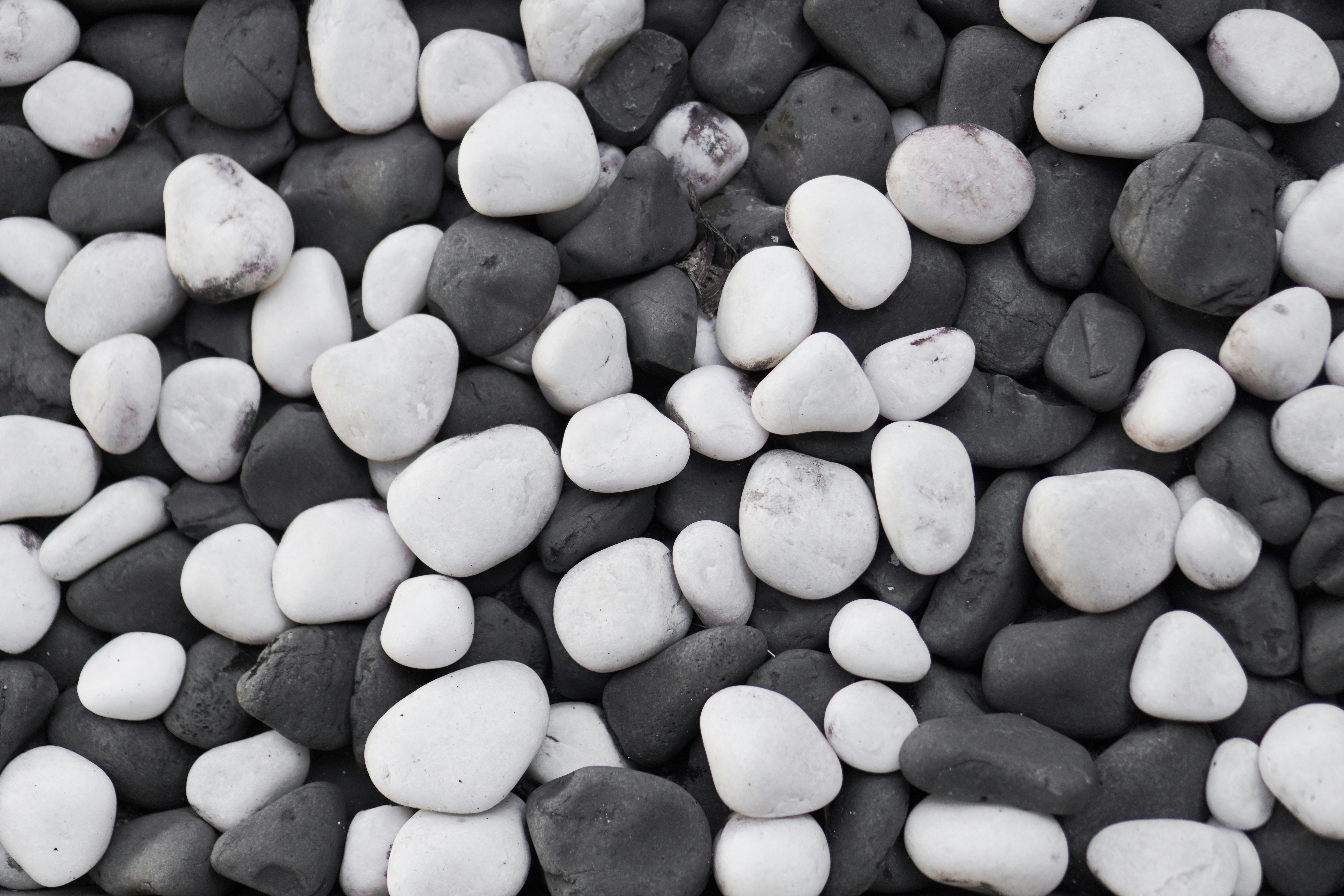 Monochrome Pebble Mosaic: A Quiet Shoreline of Pebbles