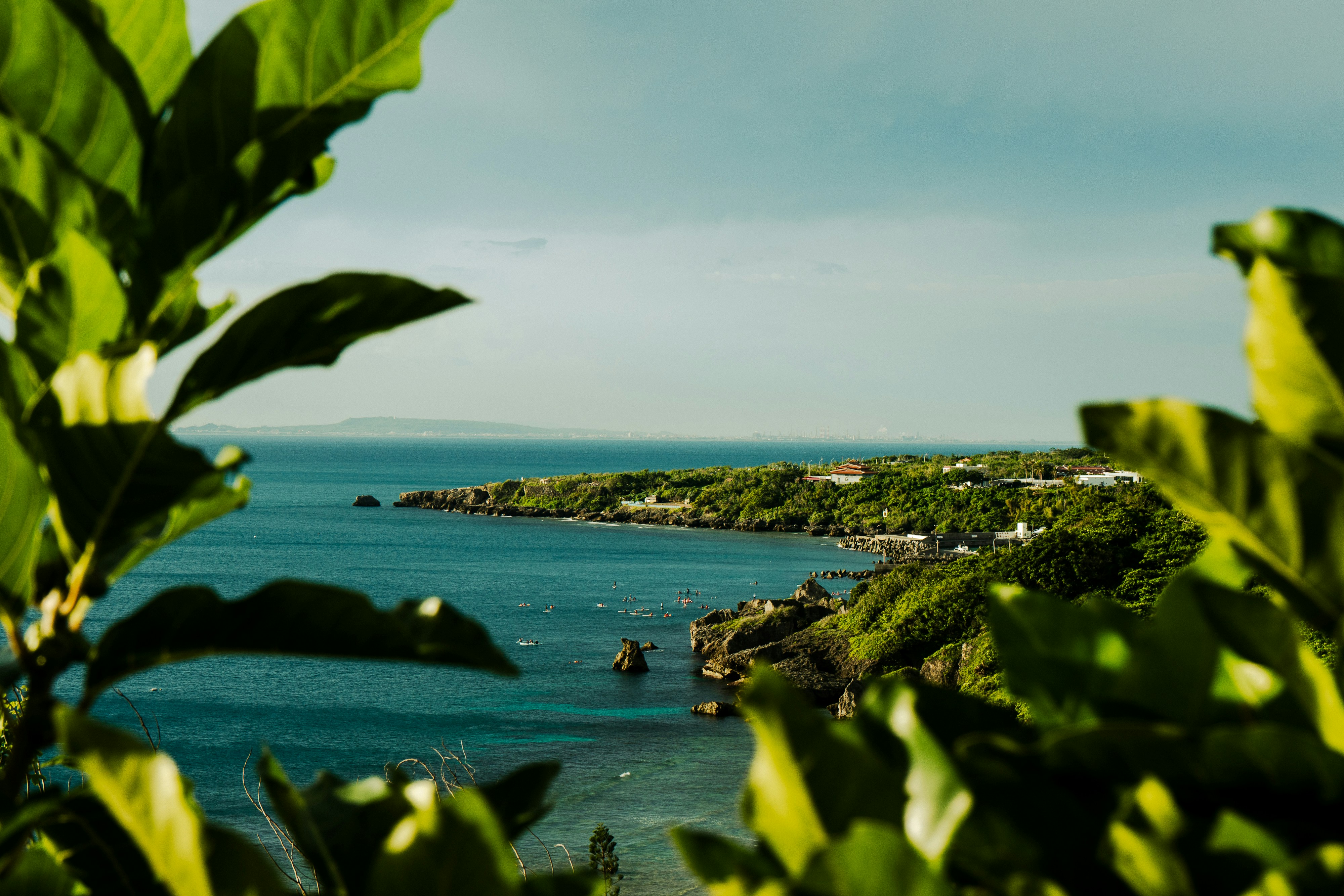 Coastal Vistas Framed by Lush Fronds