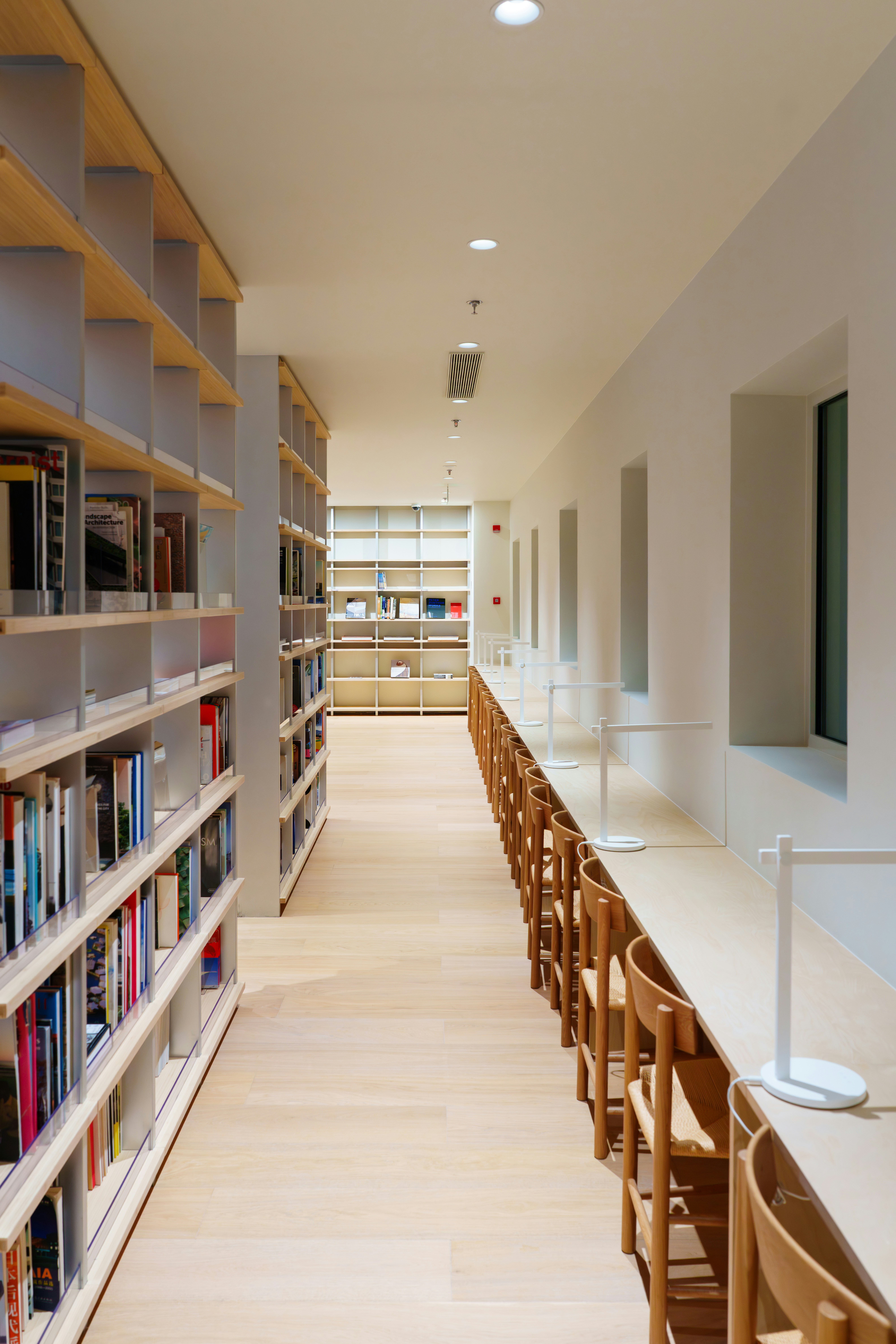 Minimalist Library Lane: A Quiet Aisle of Light and Wood