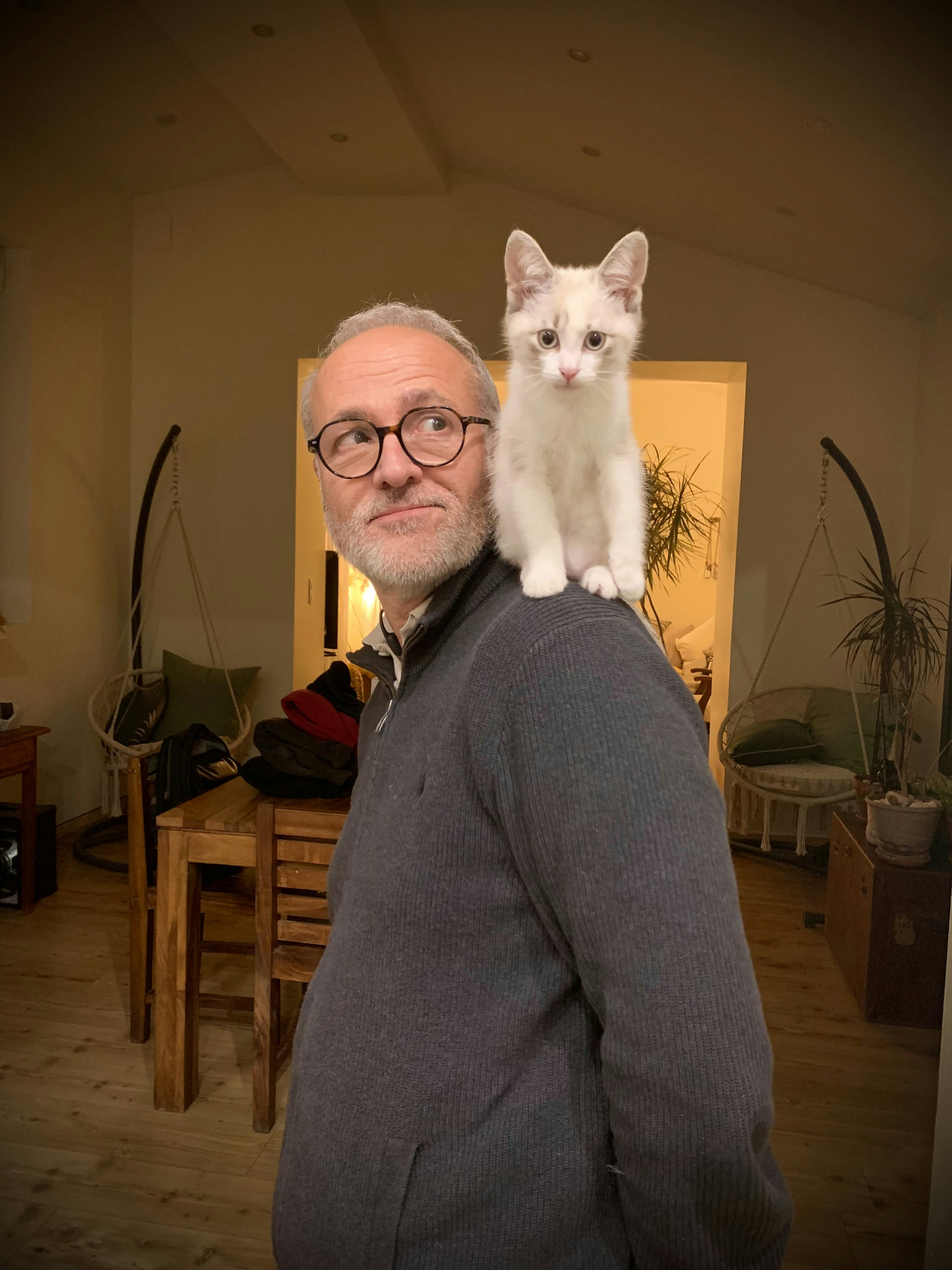 Cat on the Shoulder: a Quiet Moment in a Warm living Room