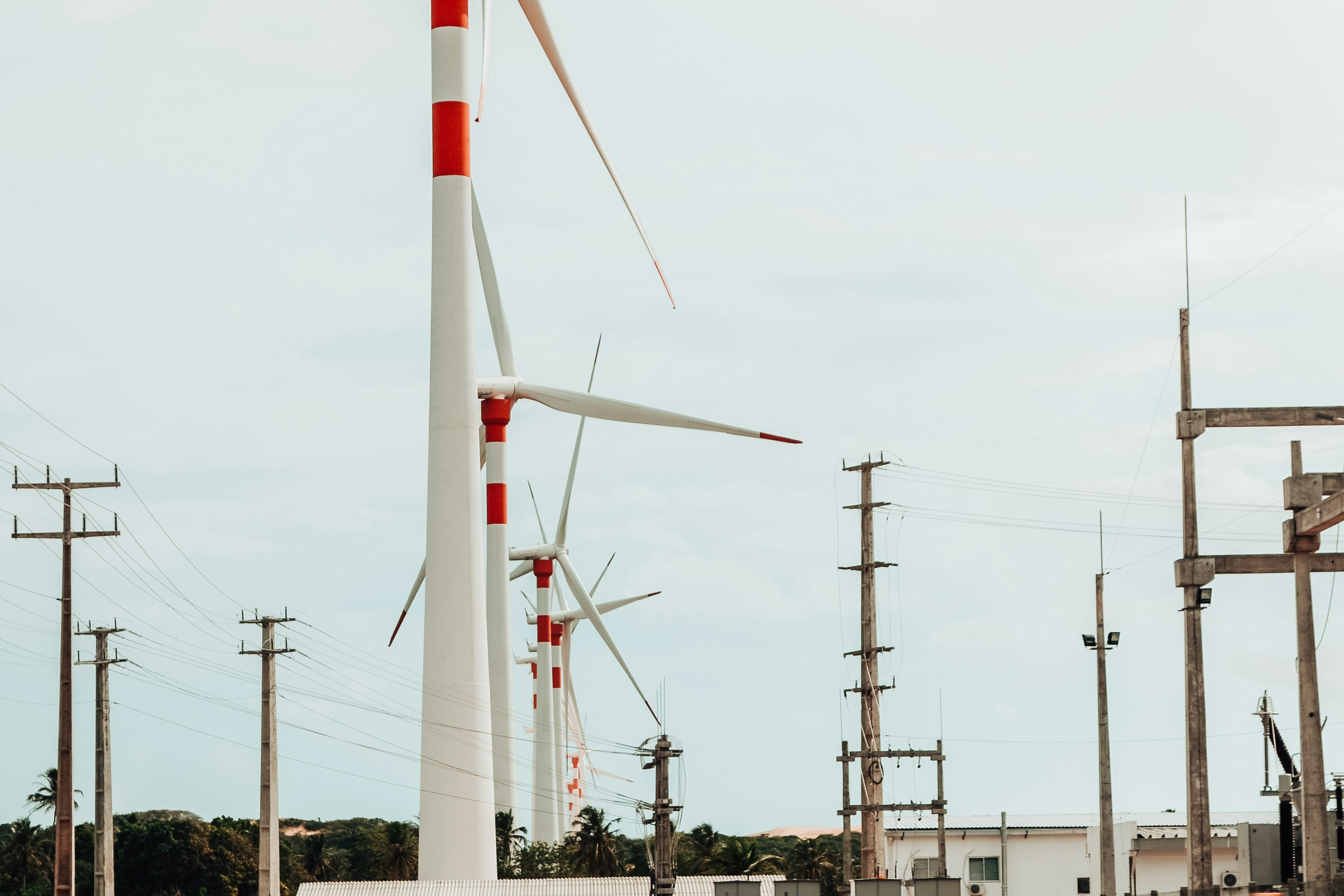 Wind Farm Rows: Red-Tipped Turbines Cast Long Shadows