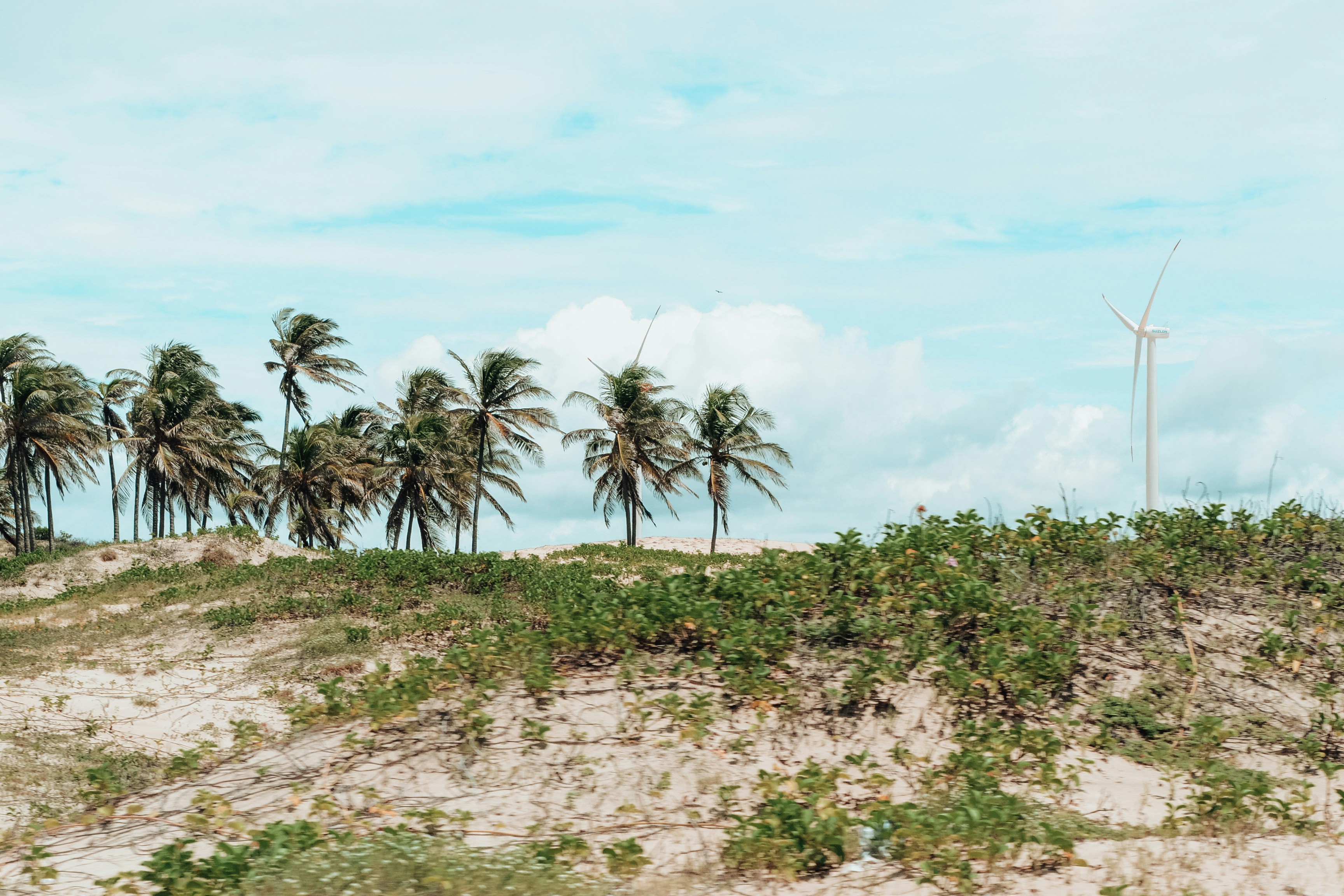 Coastal Dune Line with Leeward Wind Turbine Sentinel