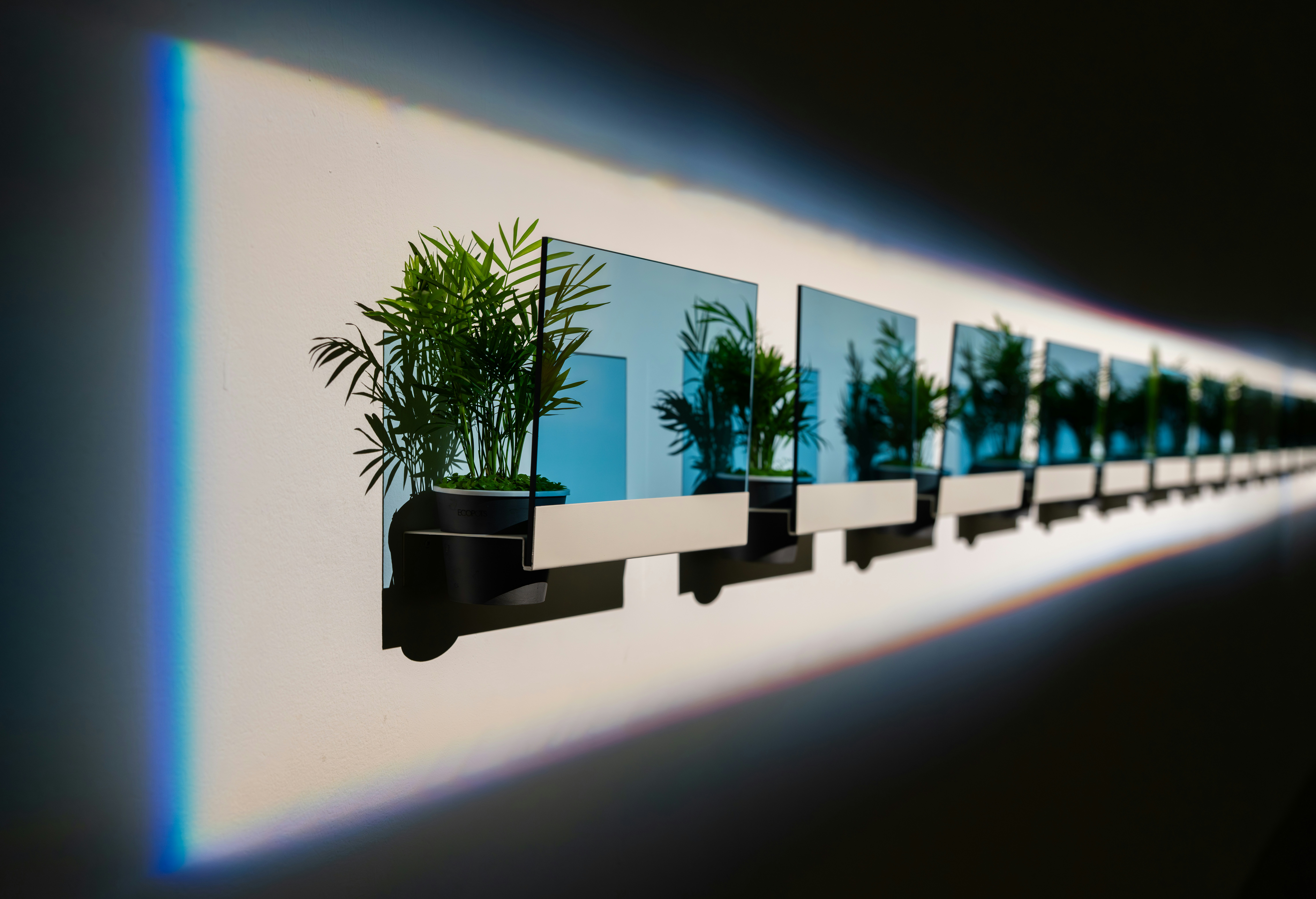 Lined Neon Flora: A Row of Potted Palms in a Gallery of Light