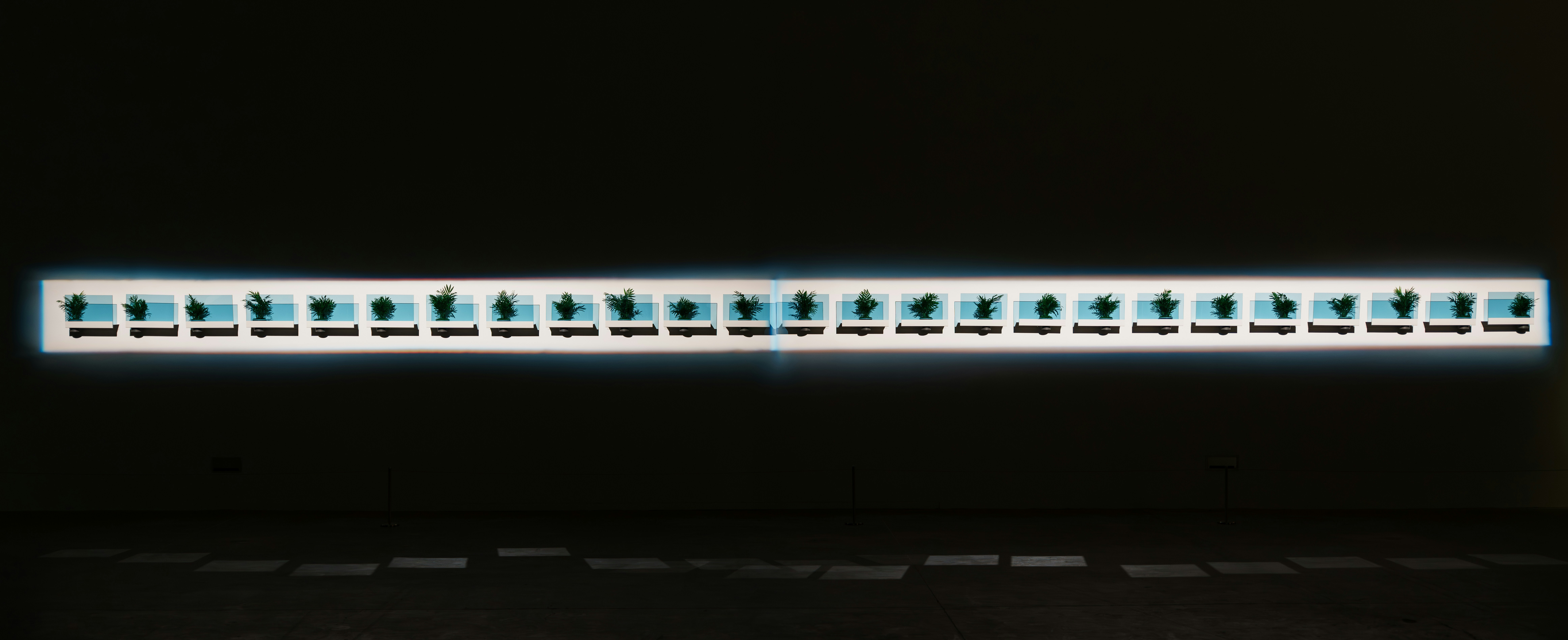 Neon Window of Repetition Across a Dark Hall