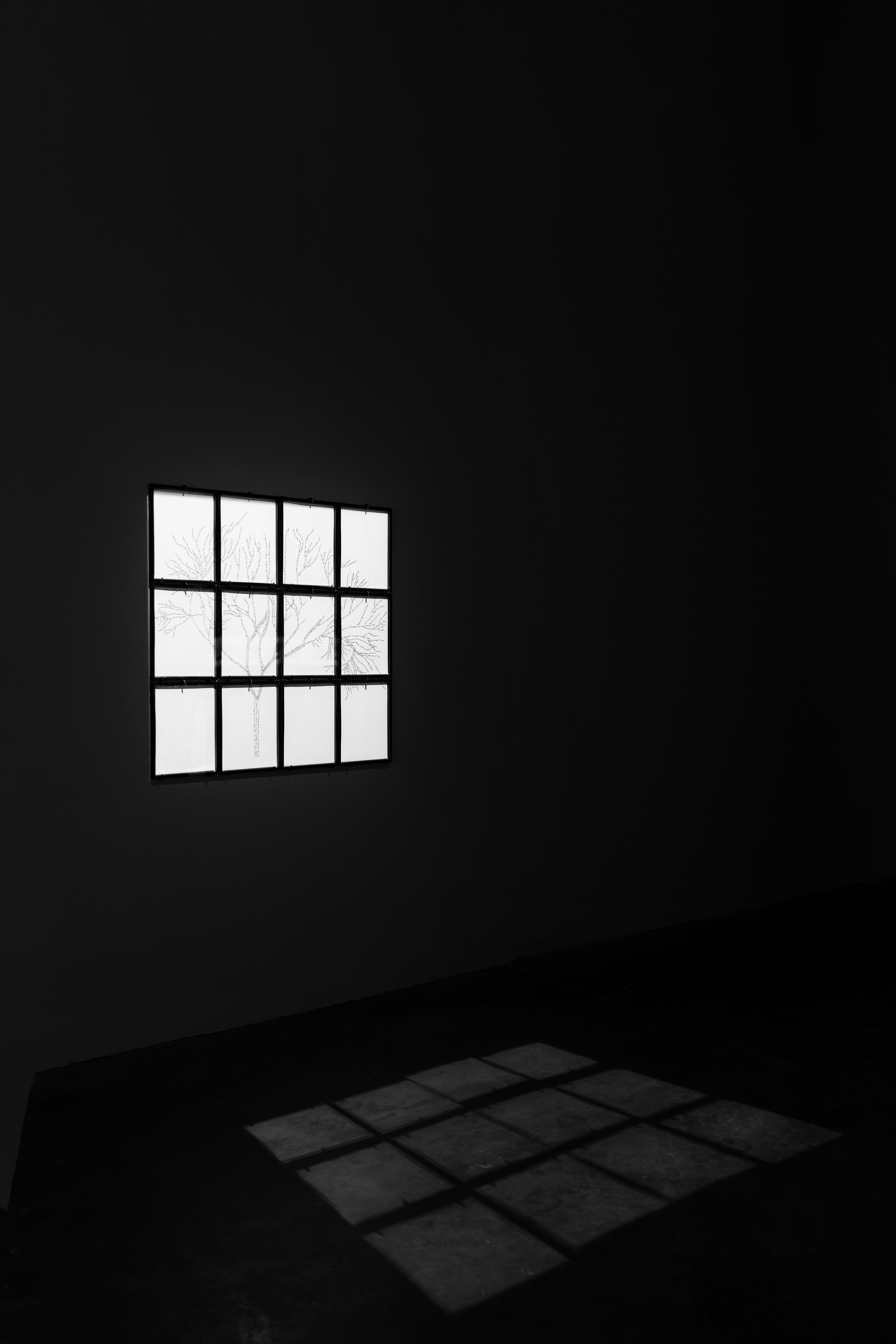 Window Grid: Echoes of Light in a Dark Gallery