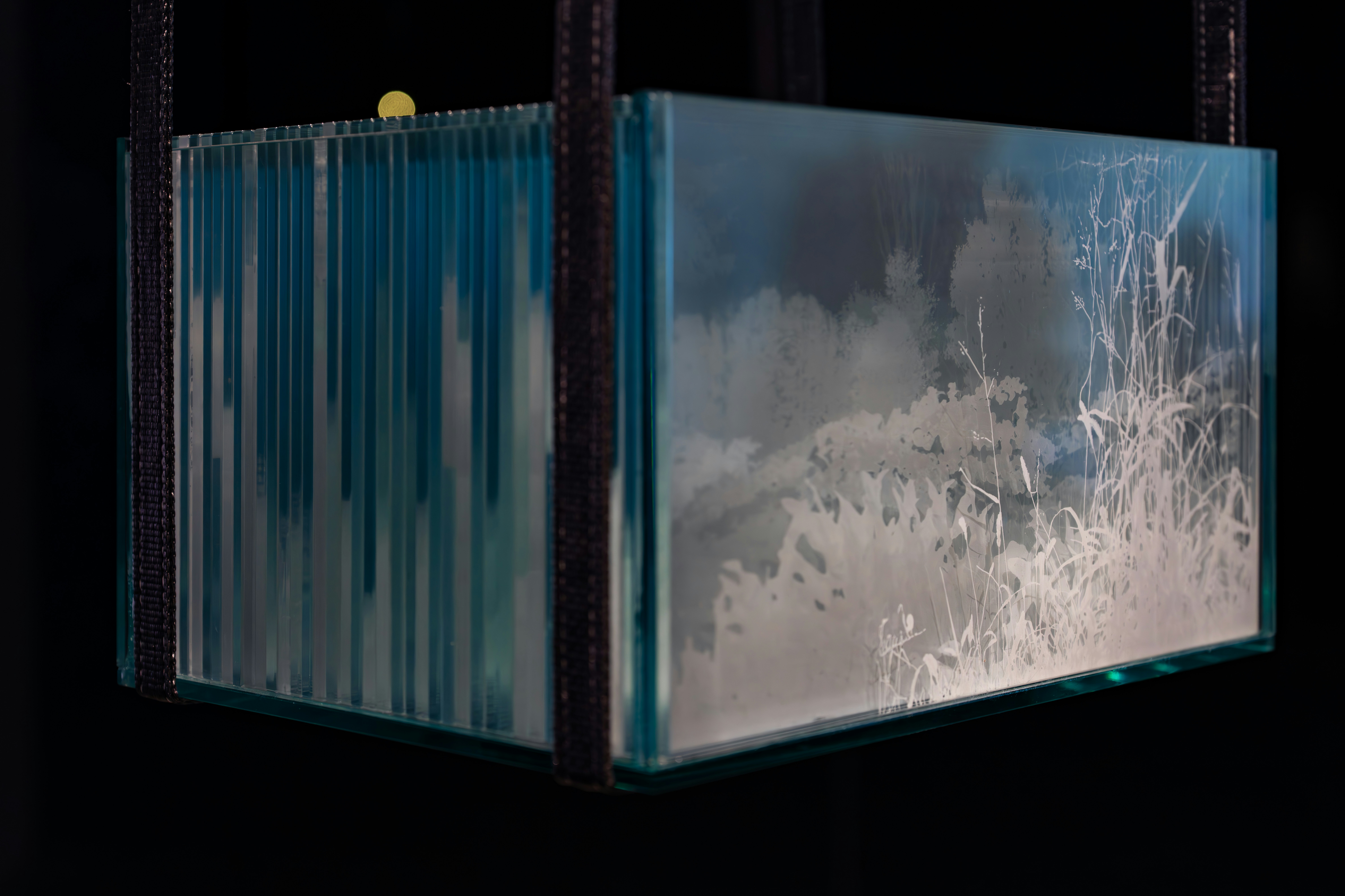 Icebound Exhibit: Frosted Glass in a Darkened Frame