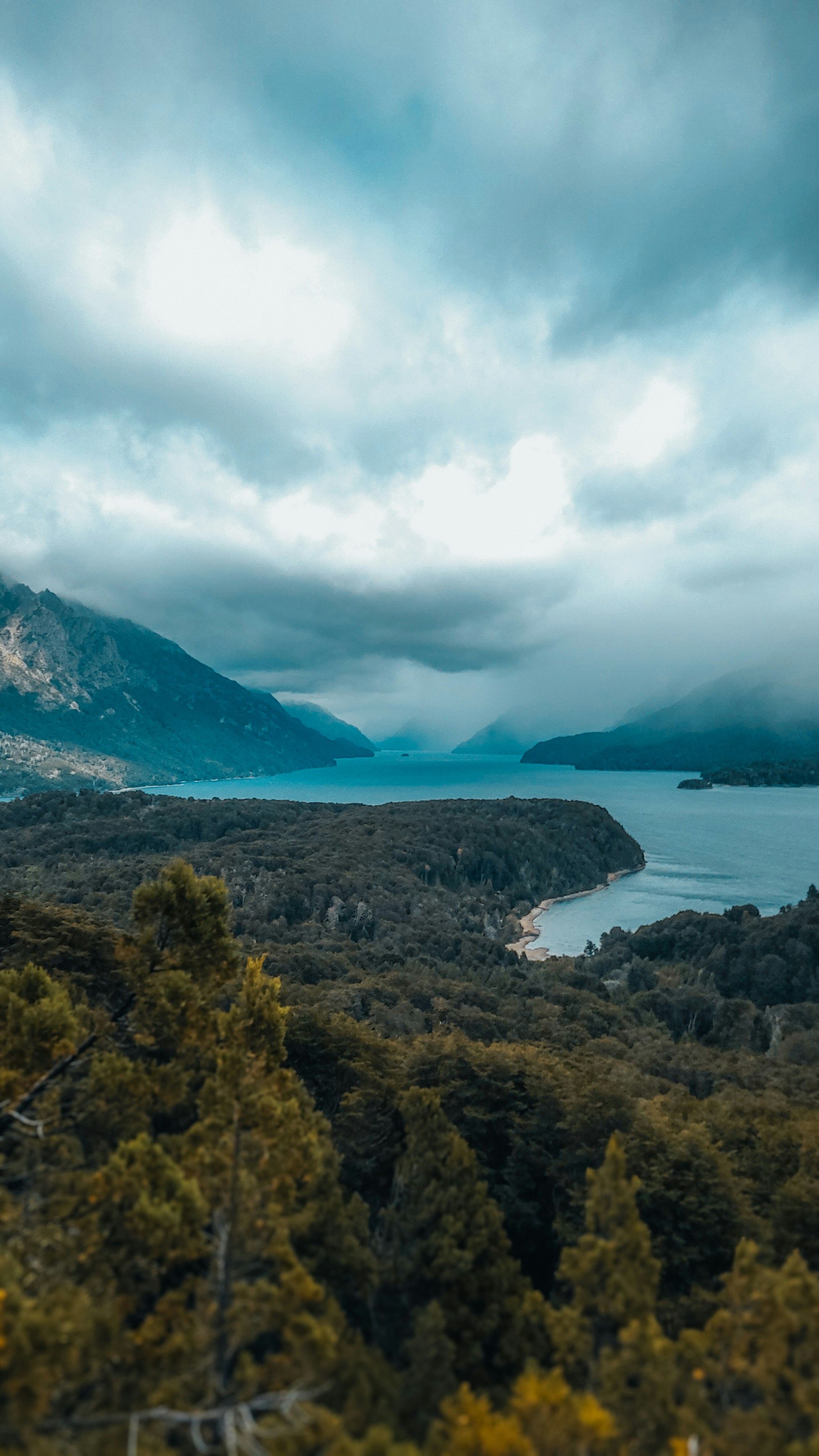 Mist over the Fjord: A Quiet Convergence of Sky, Water and Pines