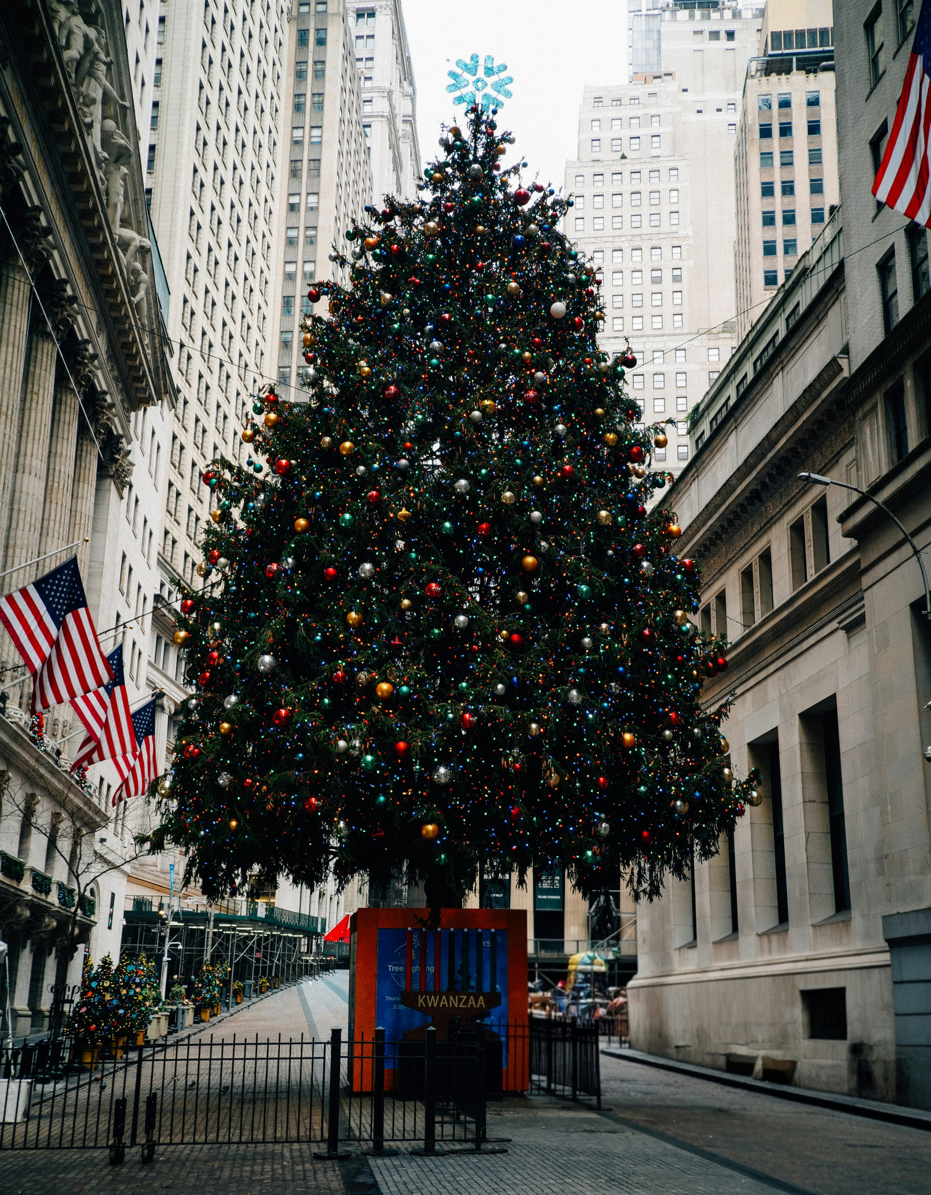 Urban Christmas Tree in a Snowless City Frame