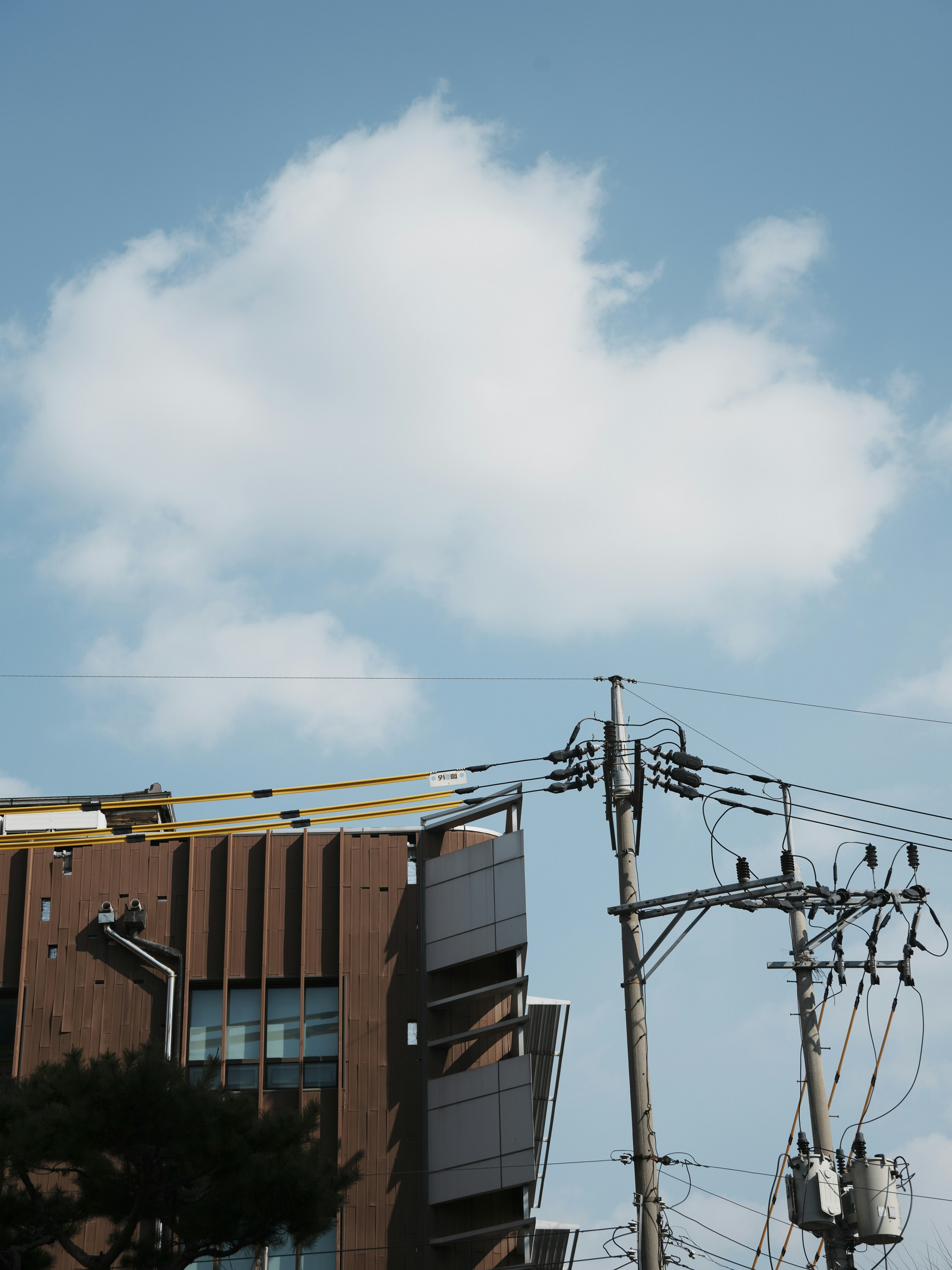 Urban Skyline Lines Meet a Sky-Blue Span