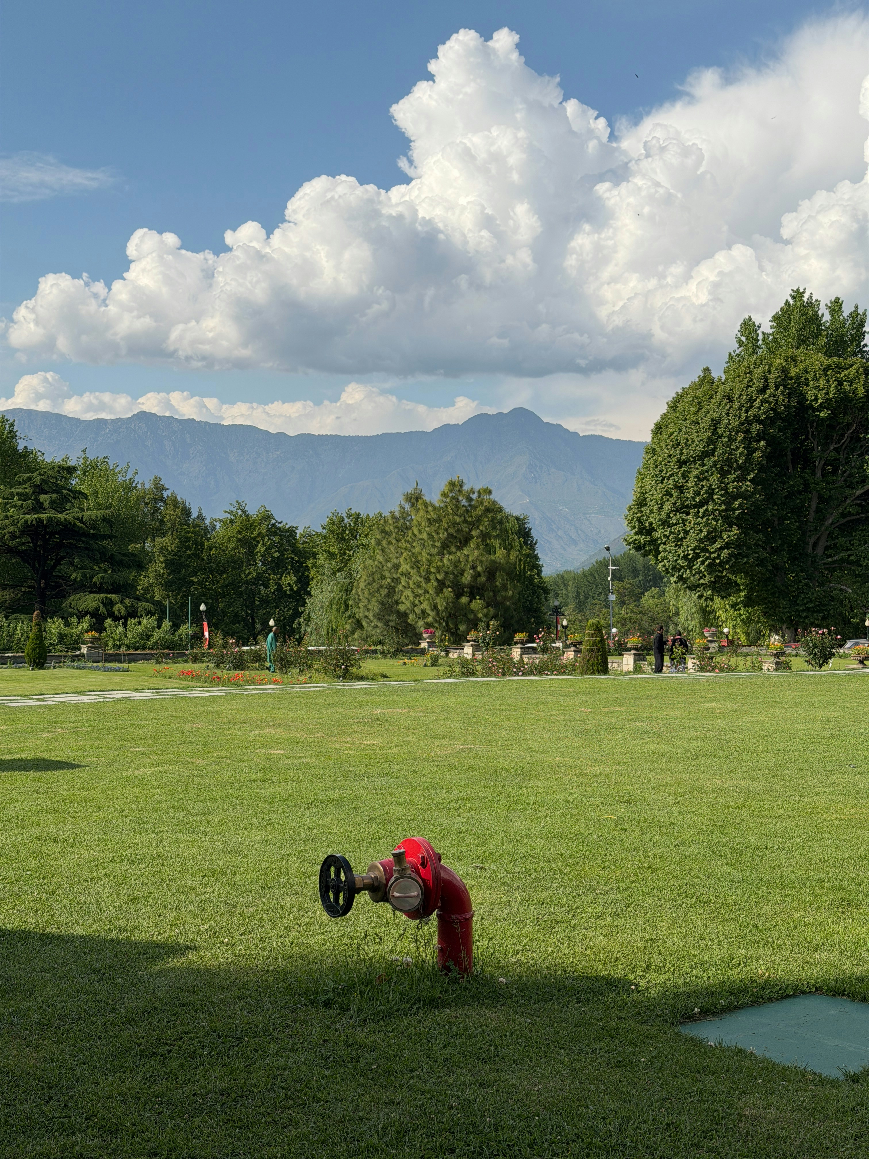 Red Fire Hydrant in a Sunlit Park with Mountain Backdrop