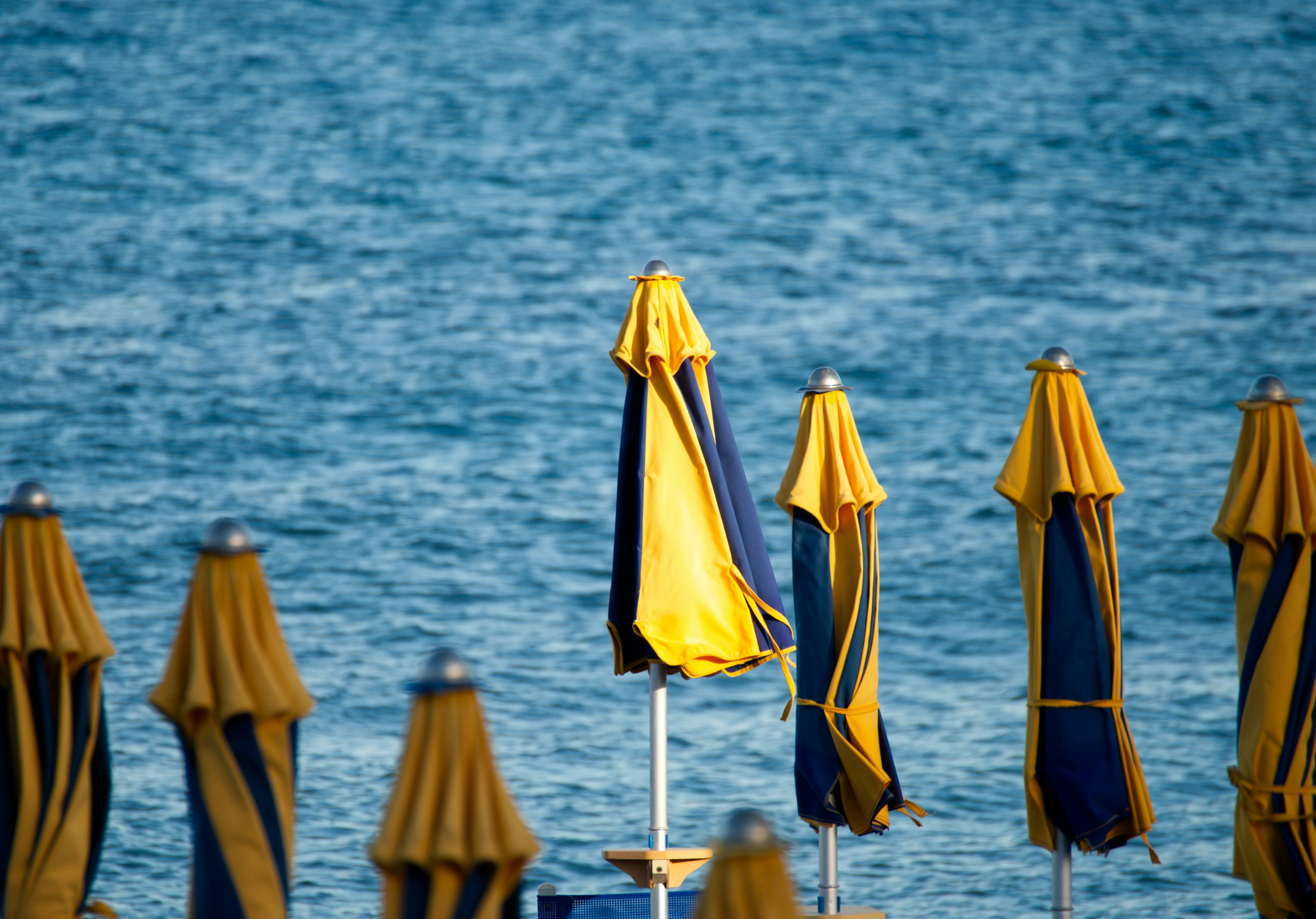 Closed beach umbrellas with blue ocean in background