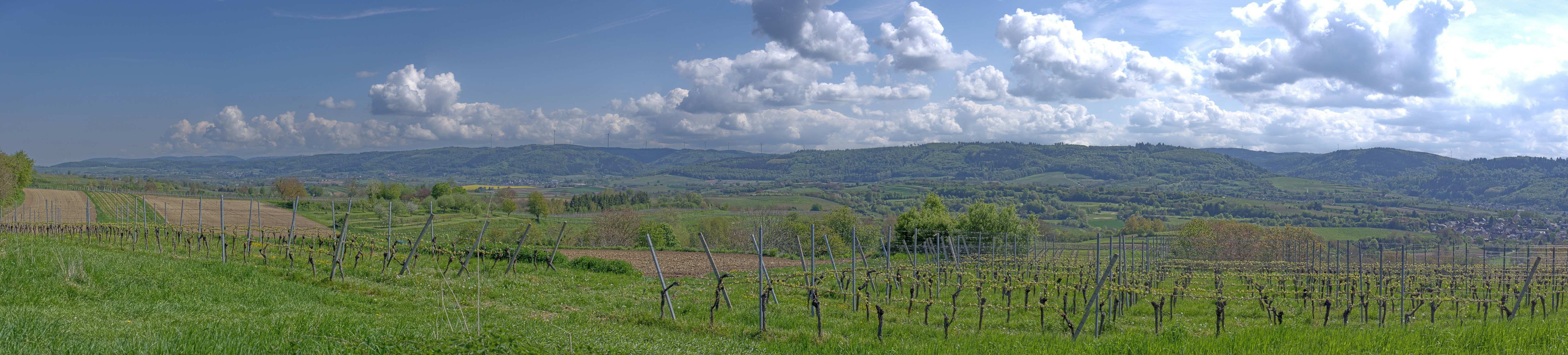 Vineyard Hills Under a Wide-Open Sky