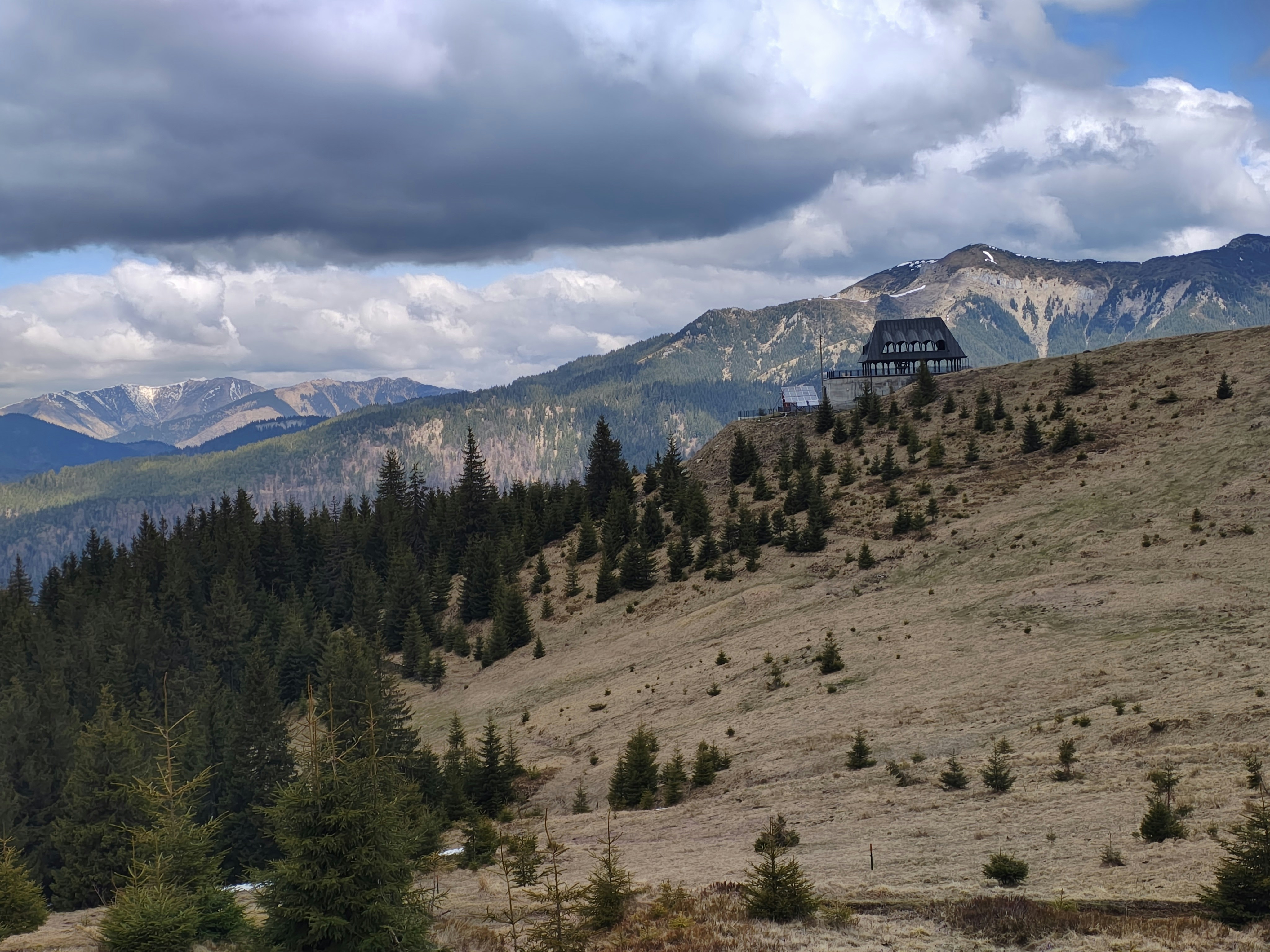 Alpine Outlook: A secluded hillside lookout above the pine forest