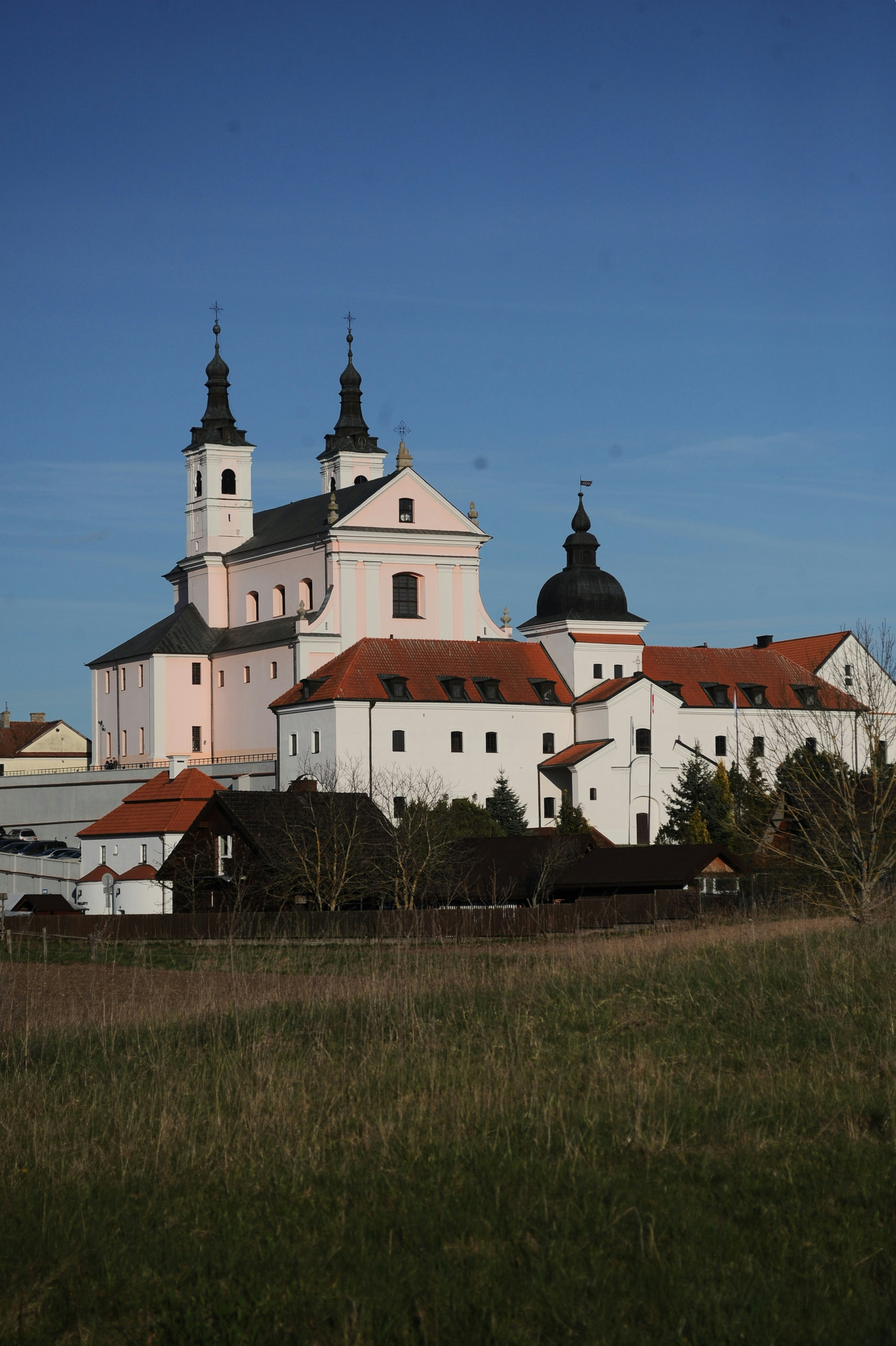 A large pink and white building with black domed roofs.