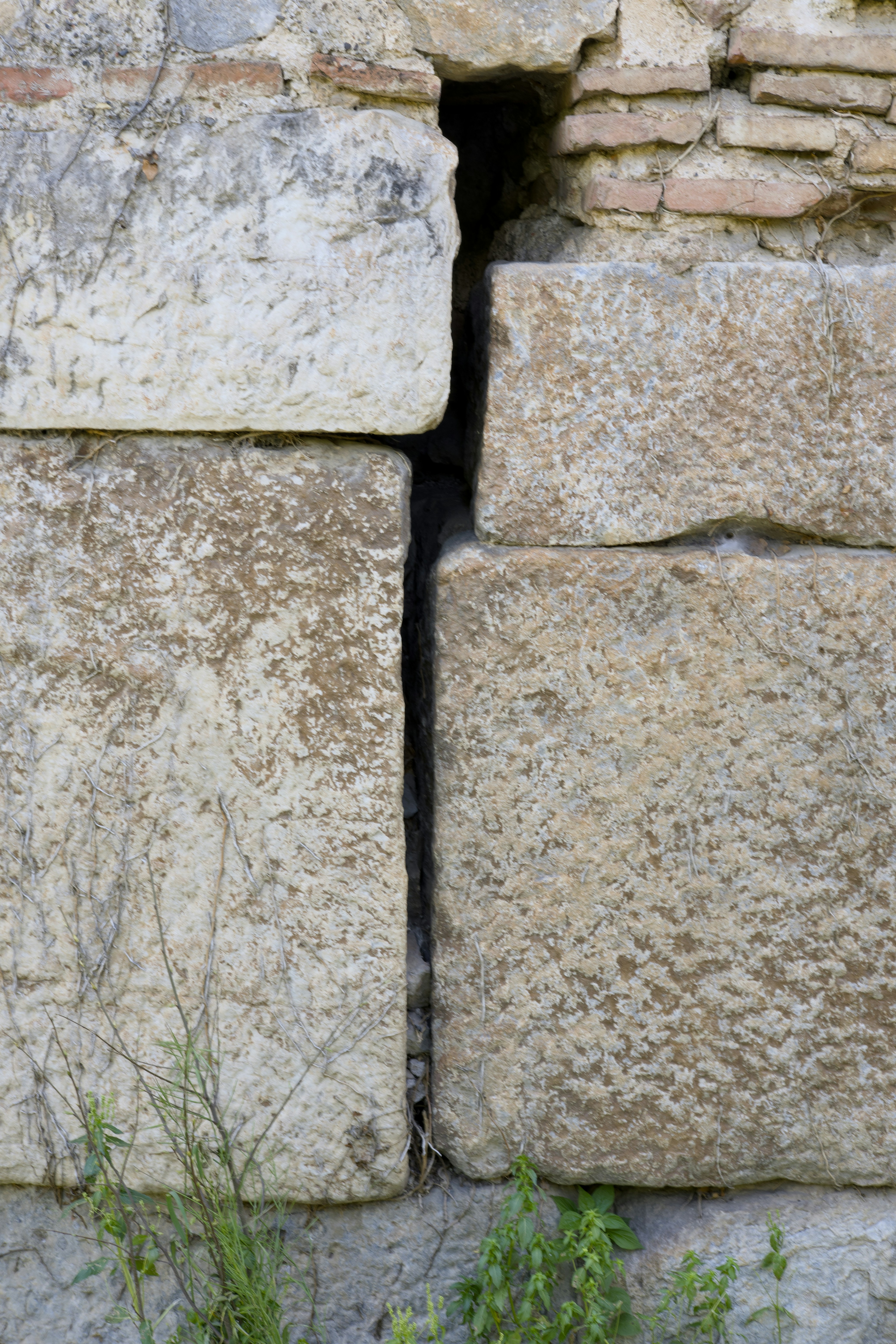 Cracked Stone Wall with Sparse Greenery
