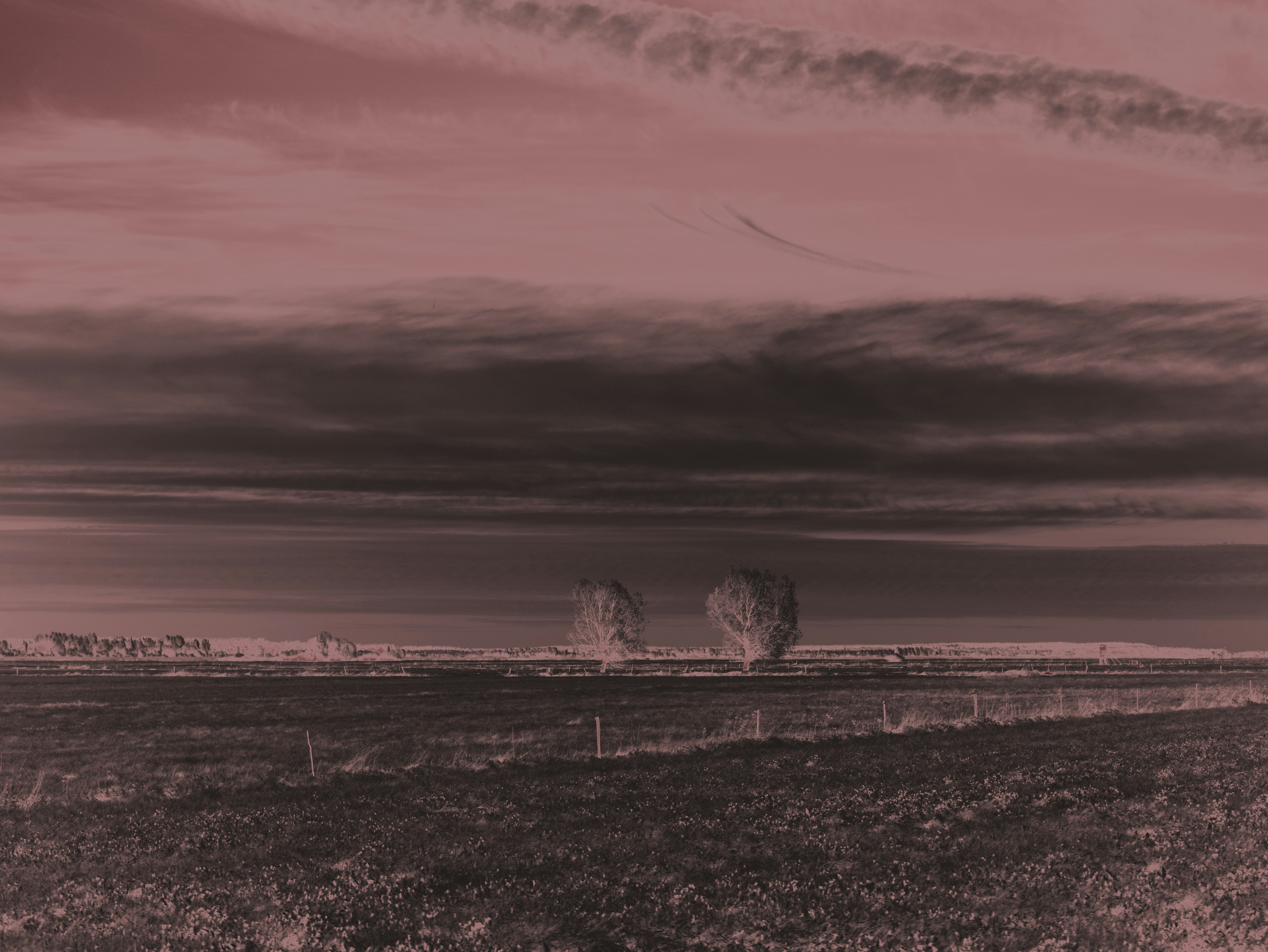 Twilight Fields: Silhouettes on a Distant Horizon