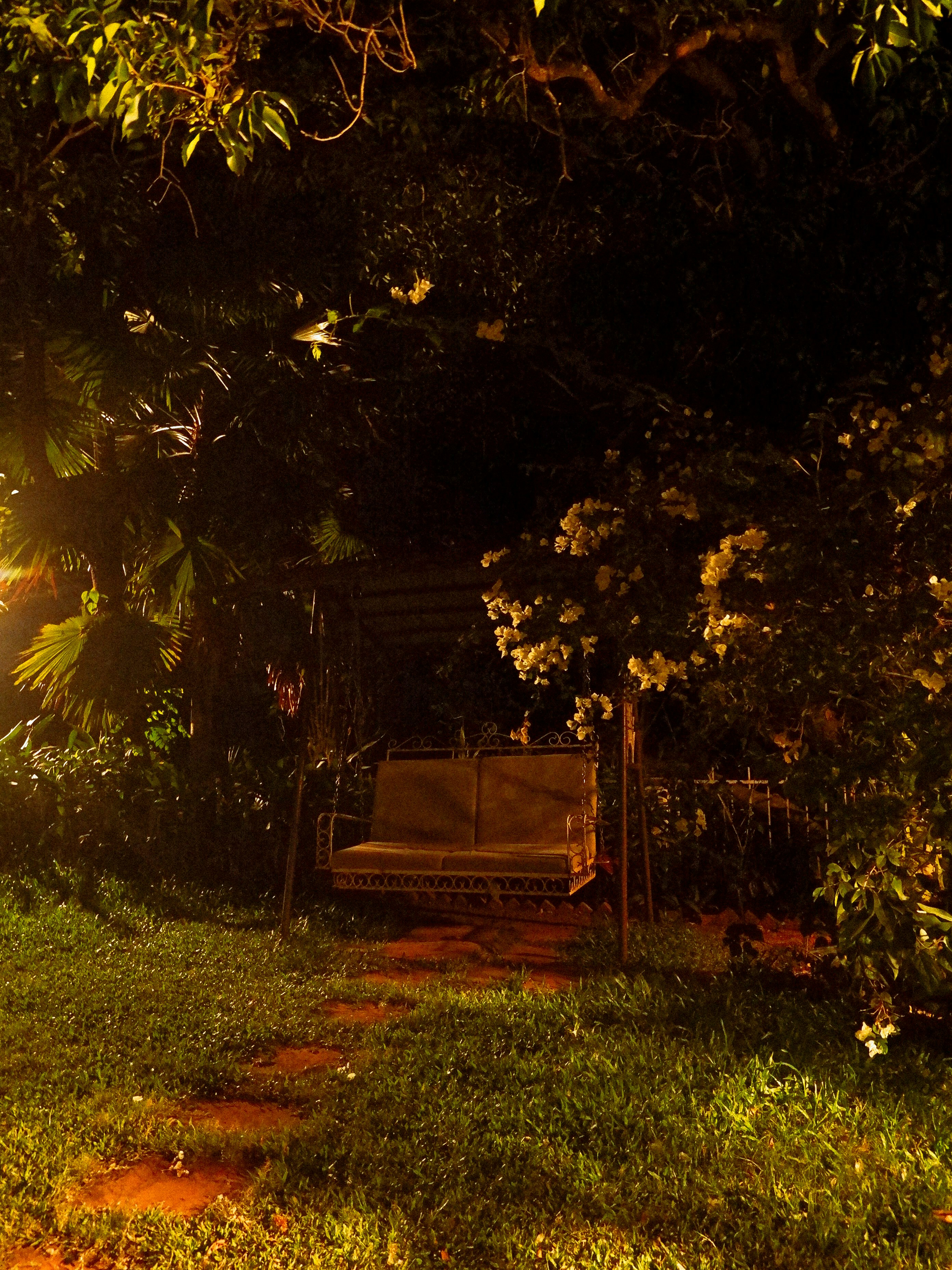 Moonlit Garden Bench Under Soft Amber Glow