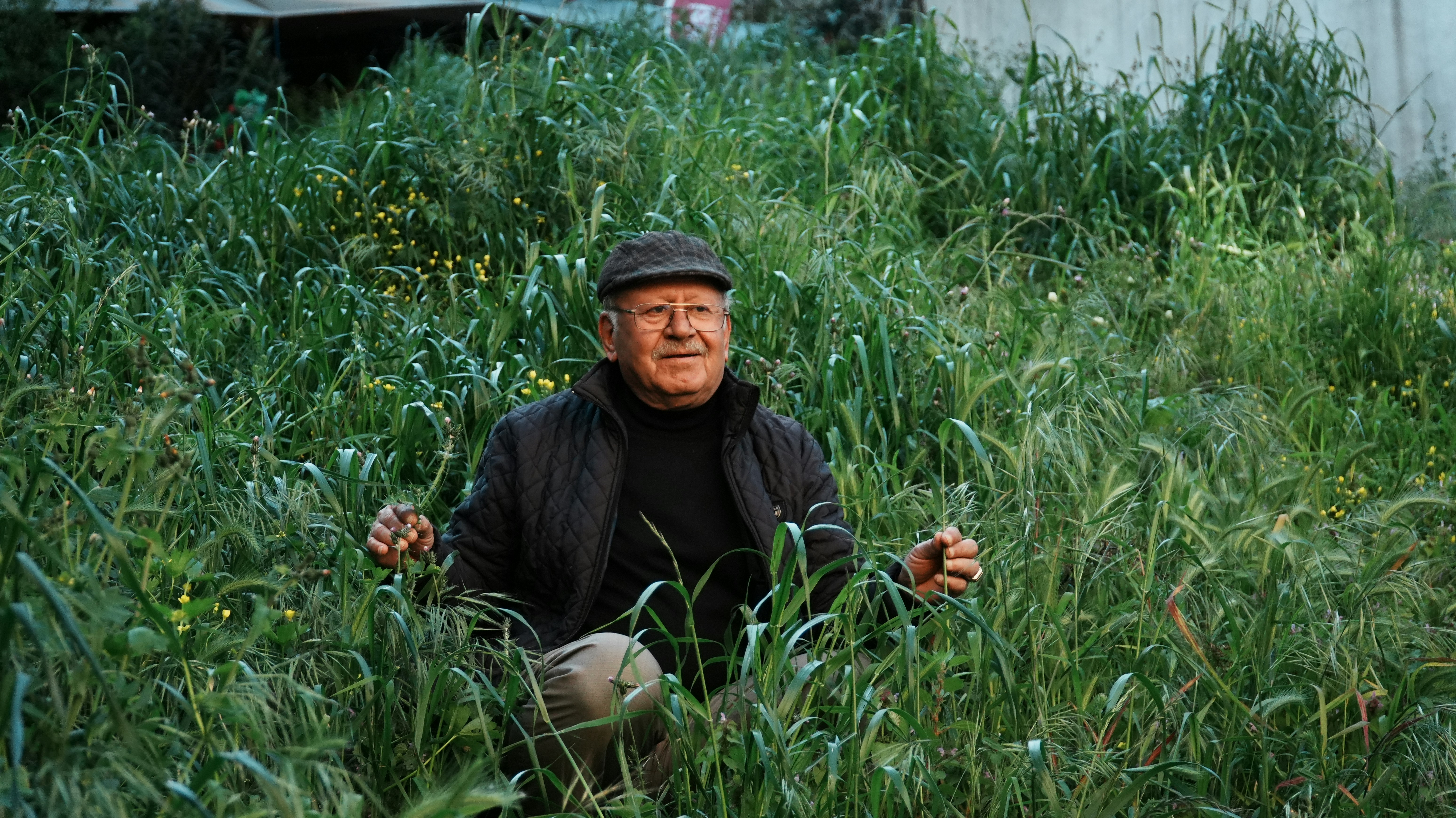 Quiet Gardener: A Village Elder Among Tall Blooms
