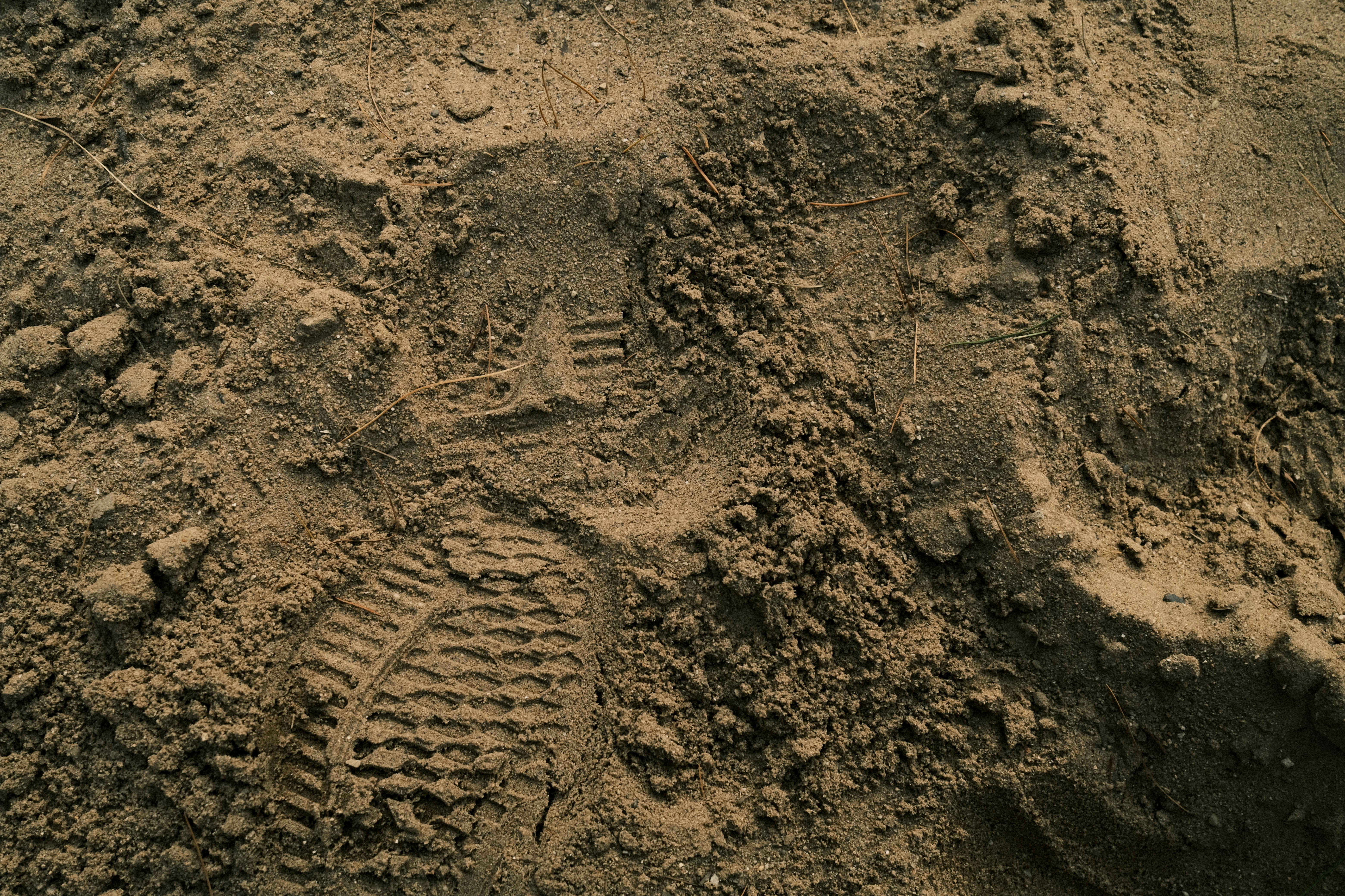 Bootprint Echo: A Footstep in Earthen Silence