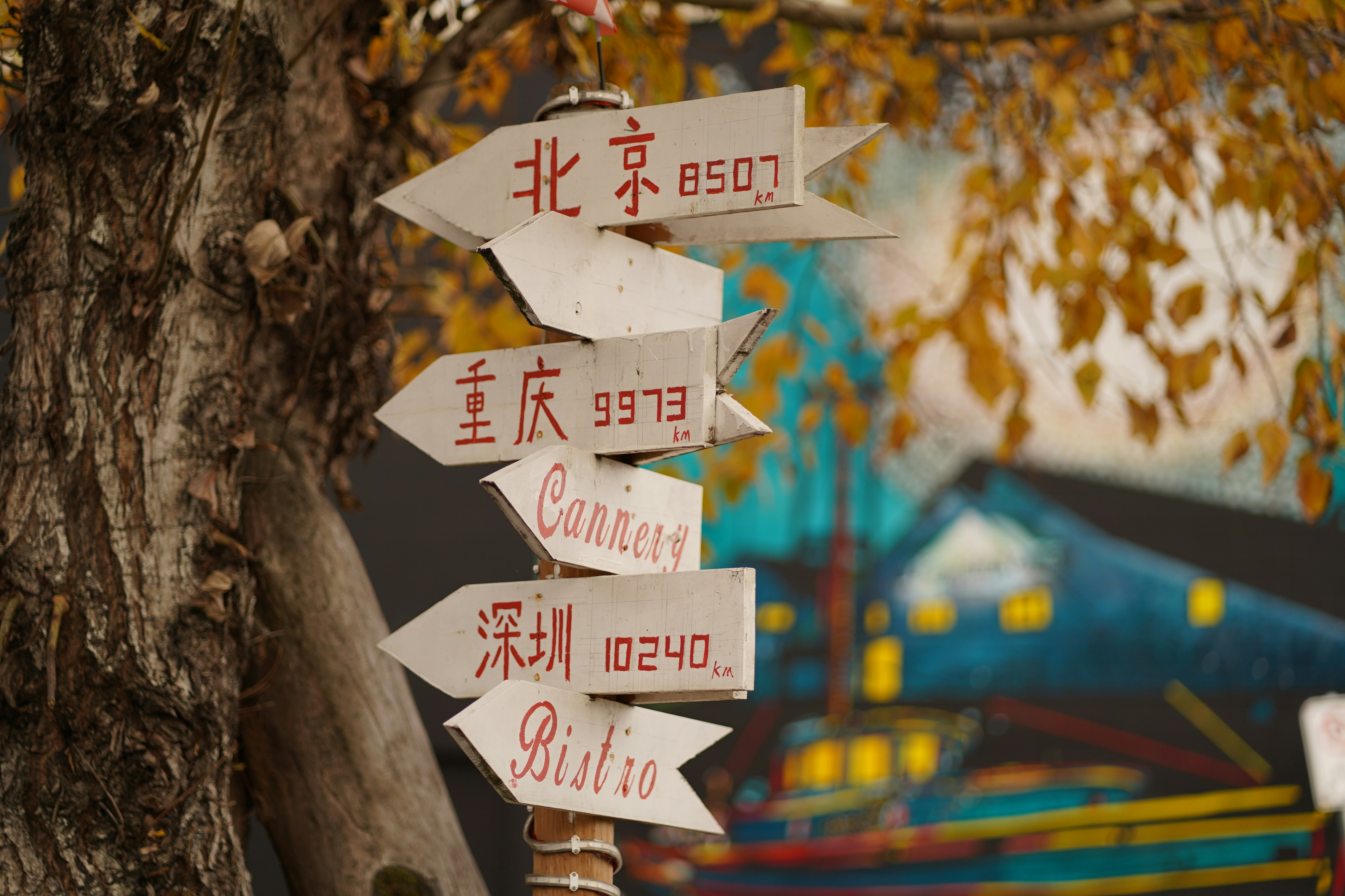 Signpost to distant cities: a colorful pause by the autumn-lit tree