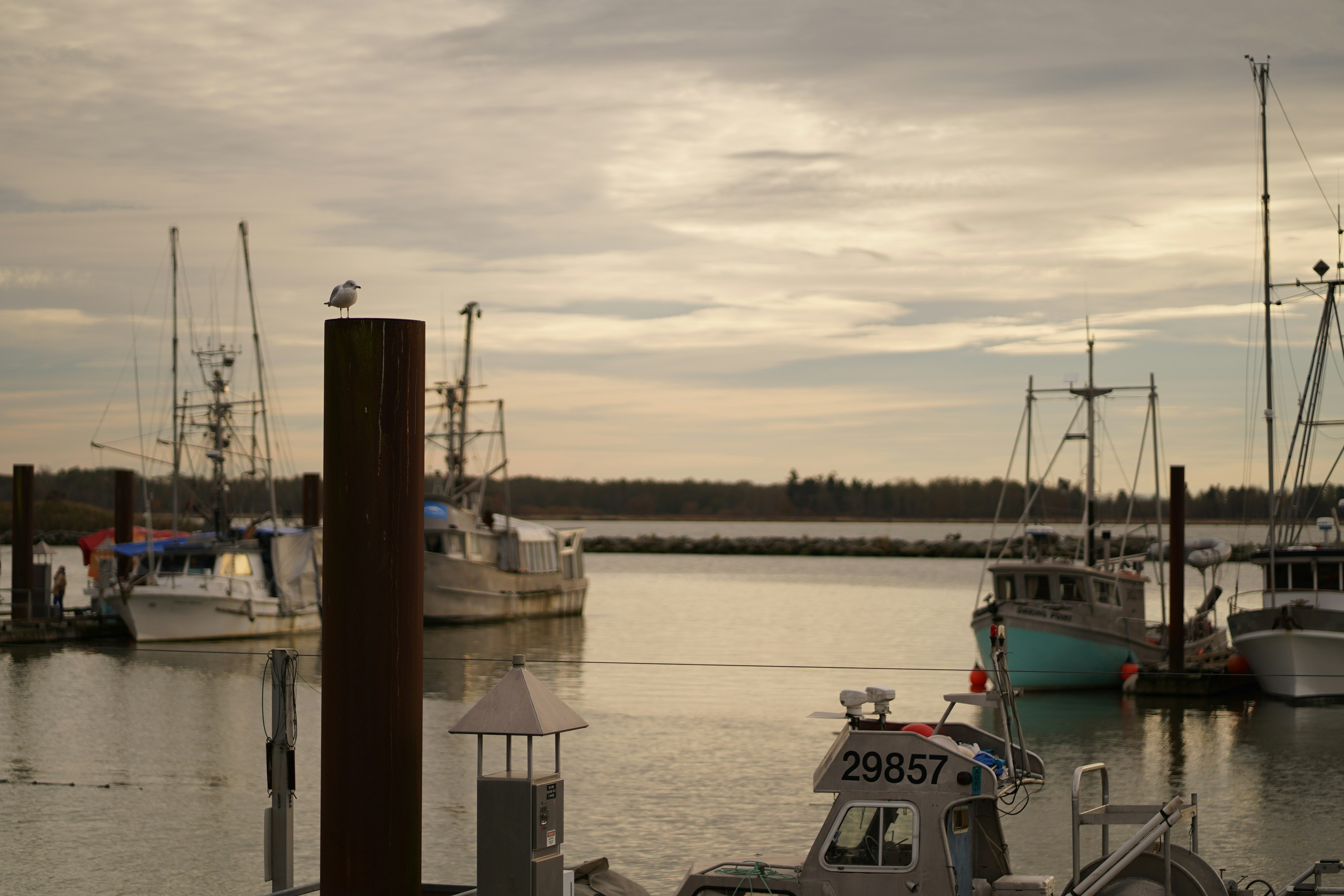 Harbor Quiet: Boats Rest at Dusk under Painted Sky