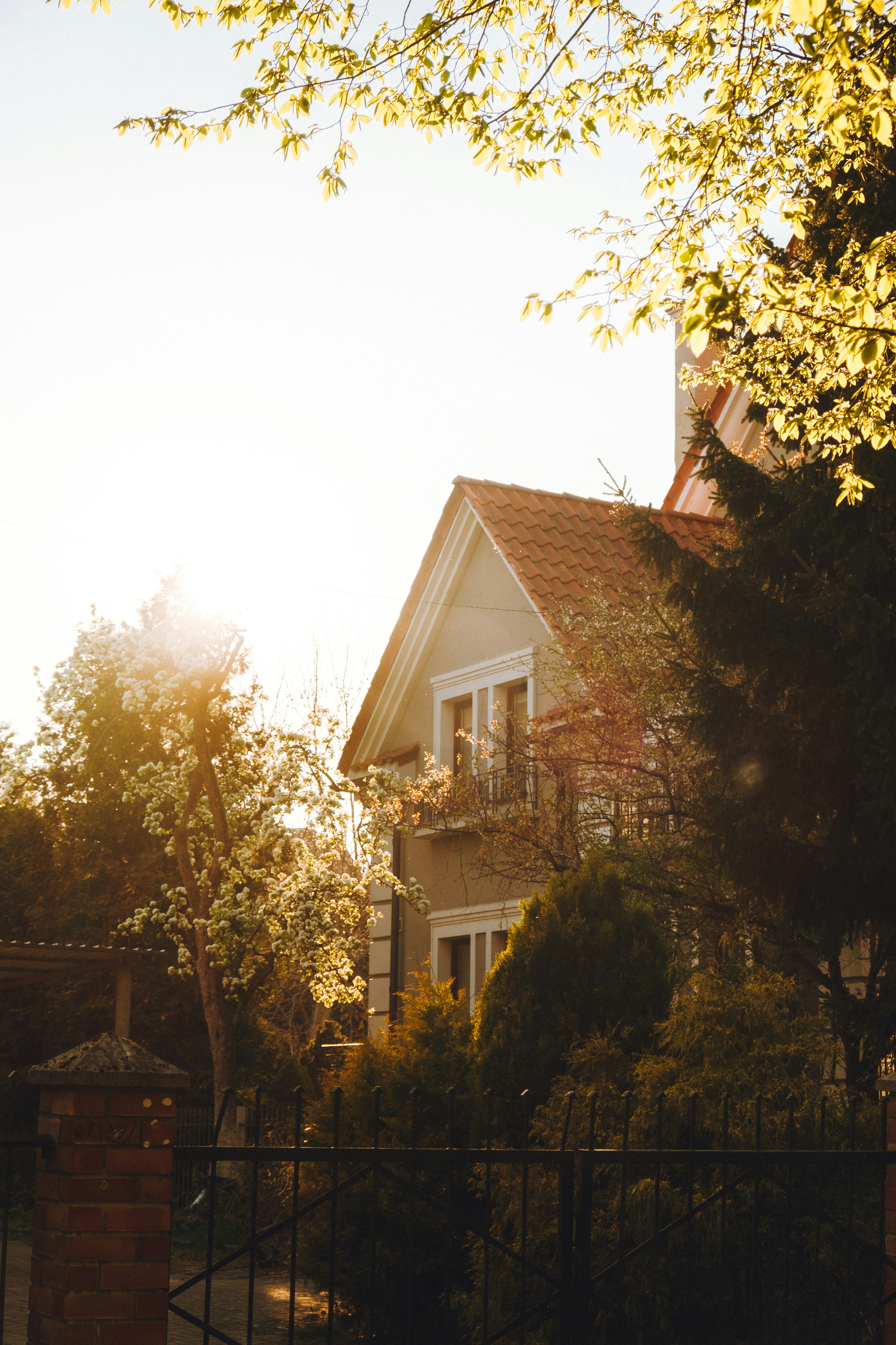 Sunlit house with warm autumn glow behind a leafy garden fence