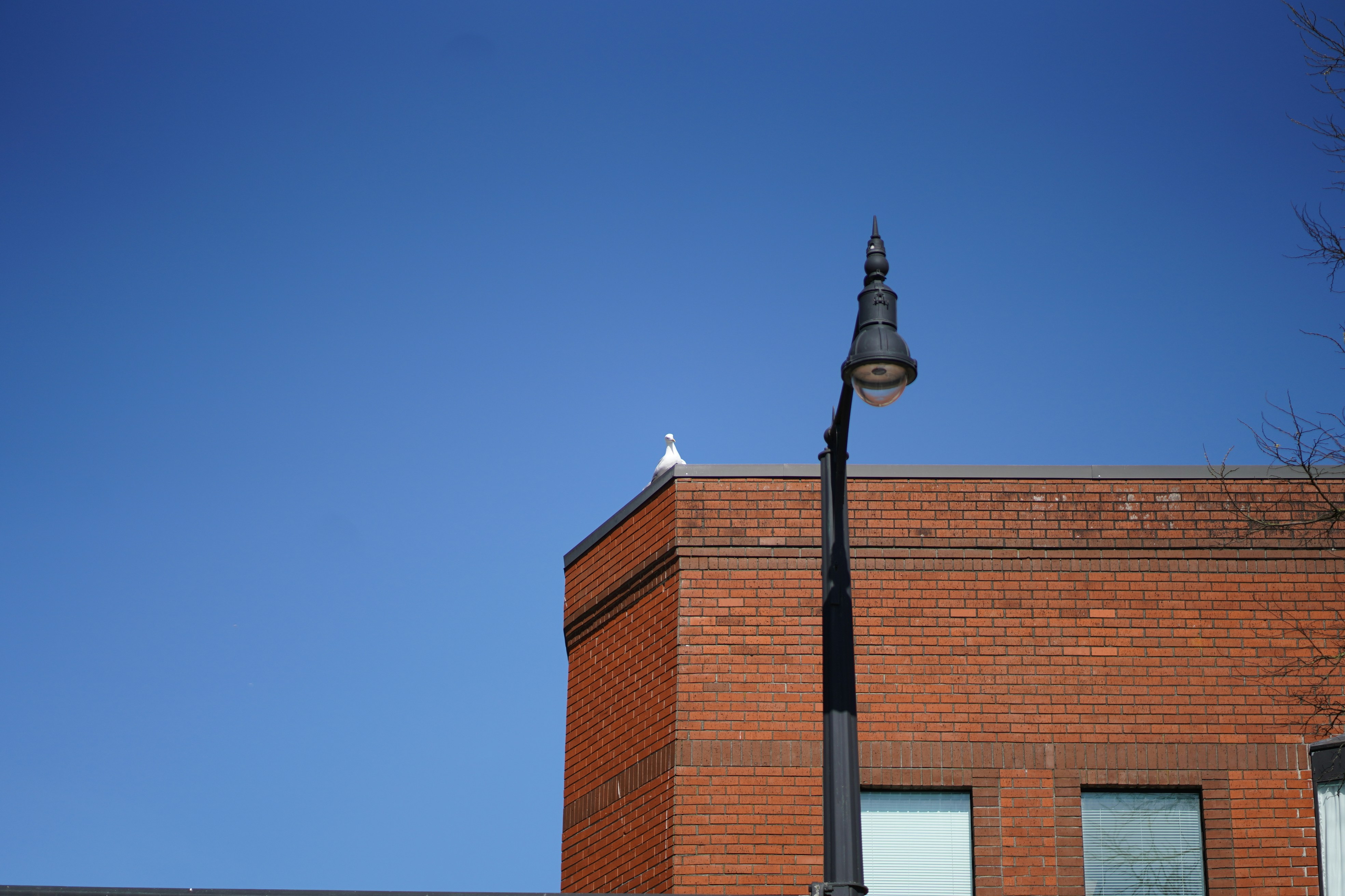 Brick Corner and Lamp Post Under a Clear Blue Sky