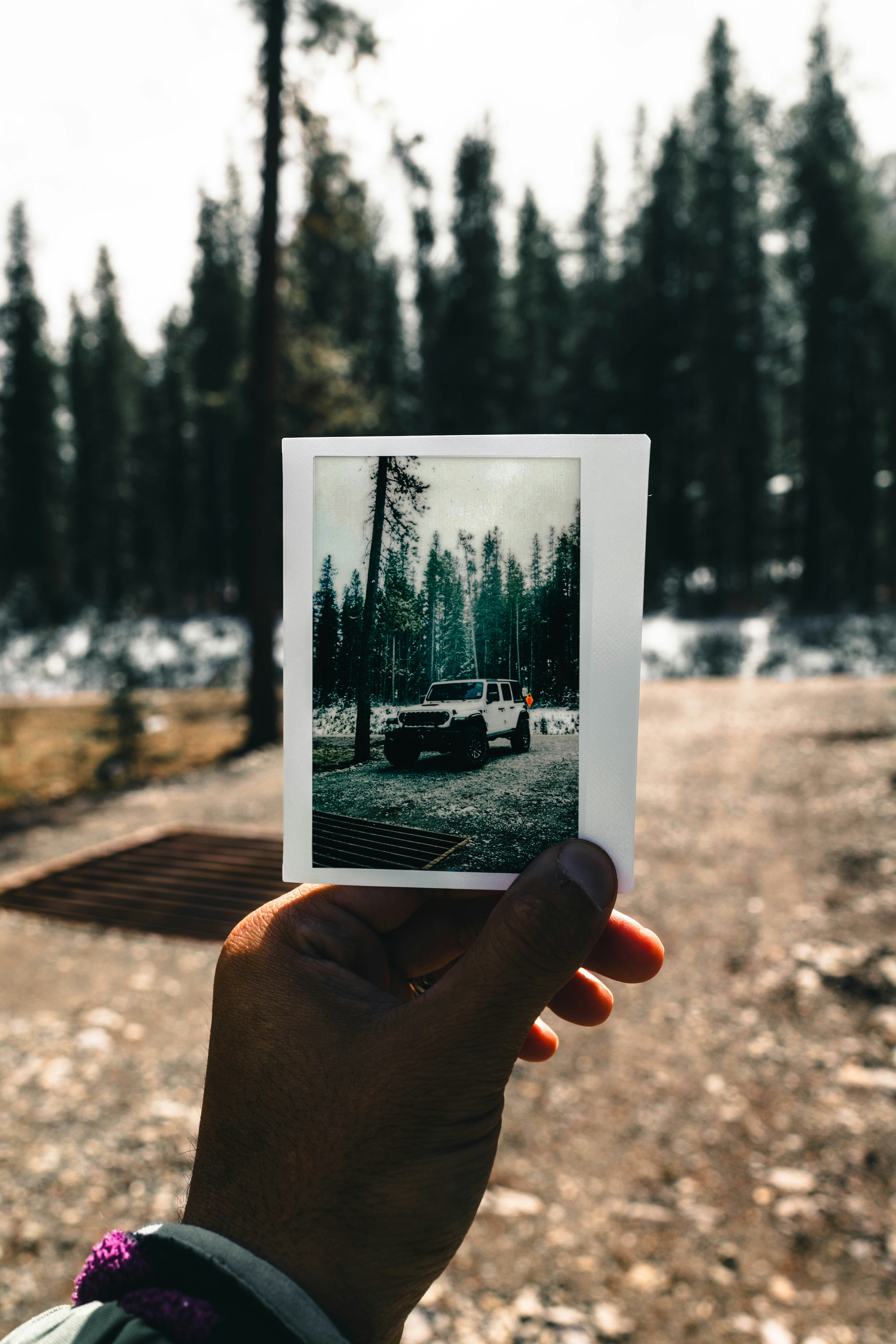 Polaroid Moment: A Jeep Portrait in the Pines