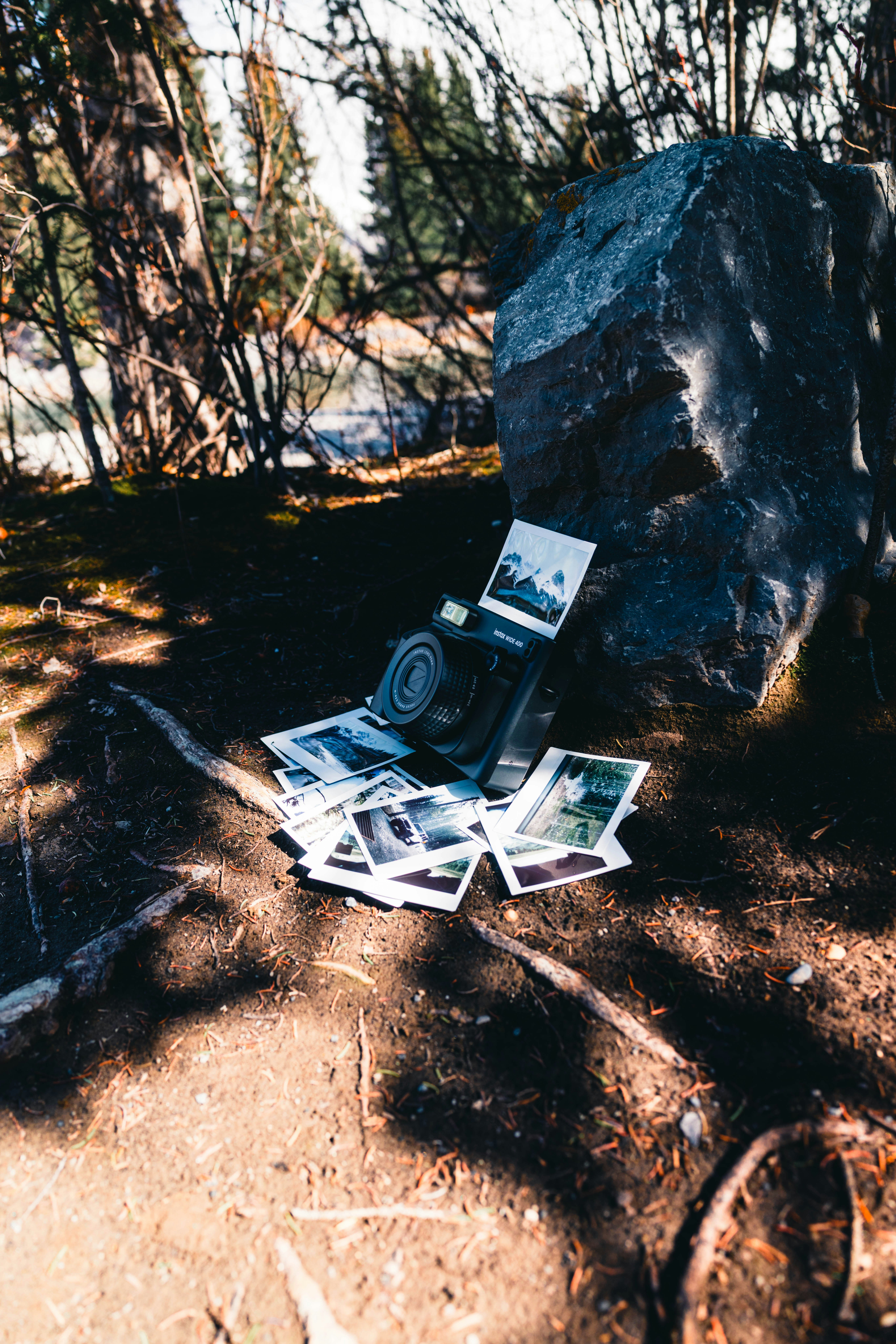Polaroids on the Forest Floor: A Vintage Camera Standby