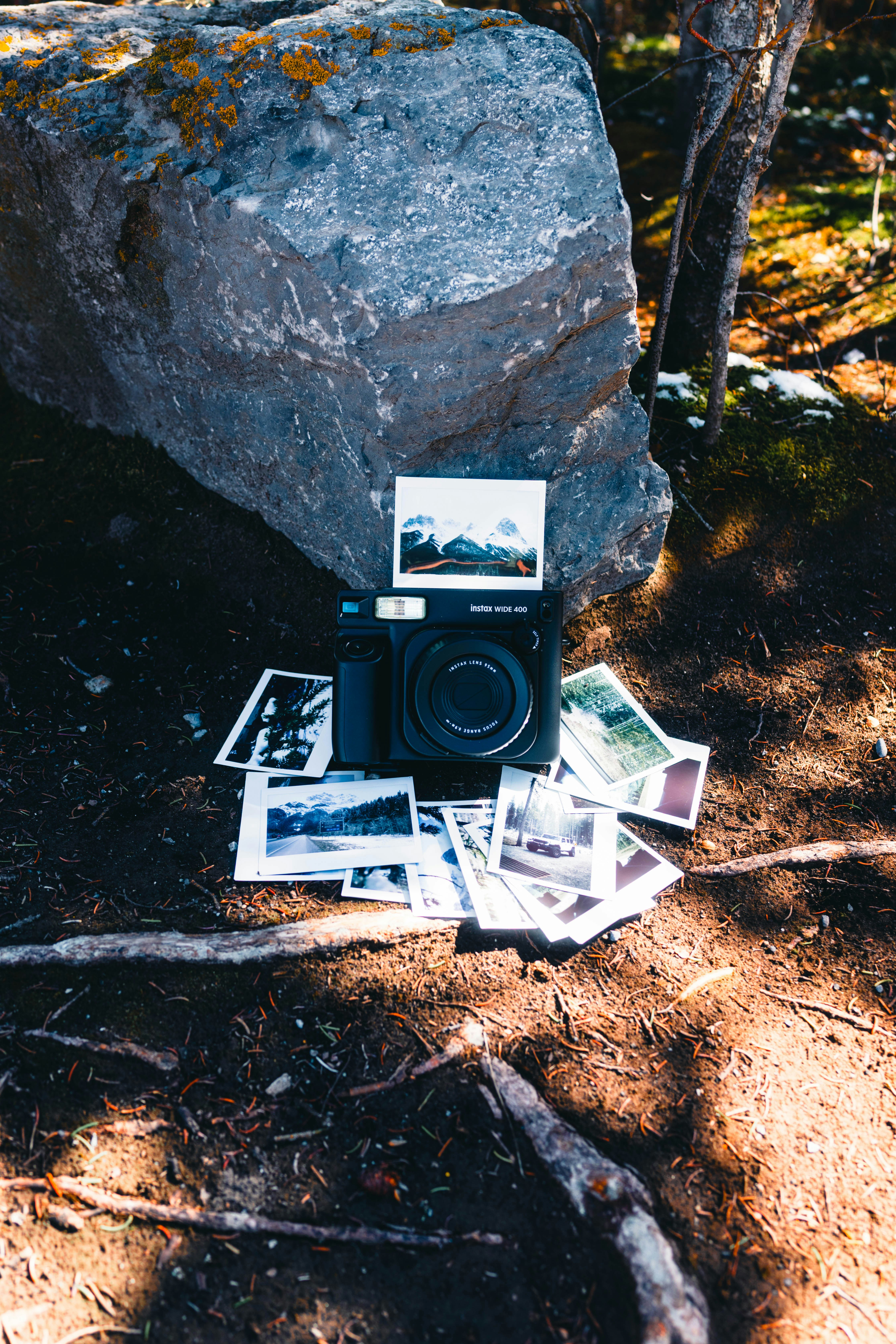 Instant Gallery: A Vintage Instax Scene Framed by Forest Light