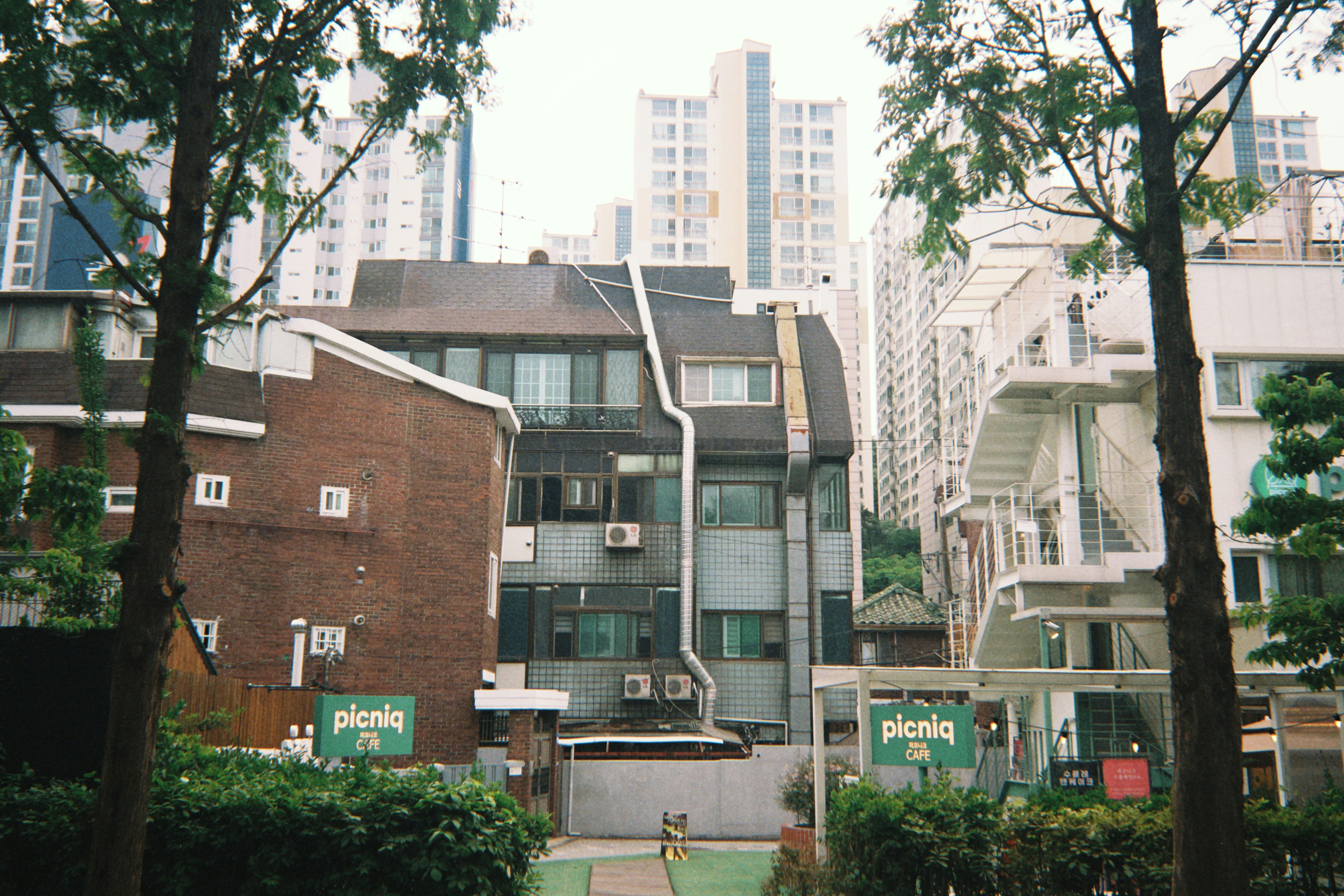 Urban Row of Quiet Flats Framed by Trees
