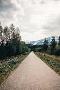 Road to the Snow-Capped Horizon
