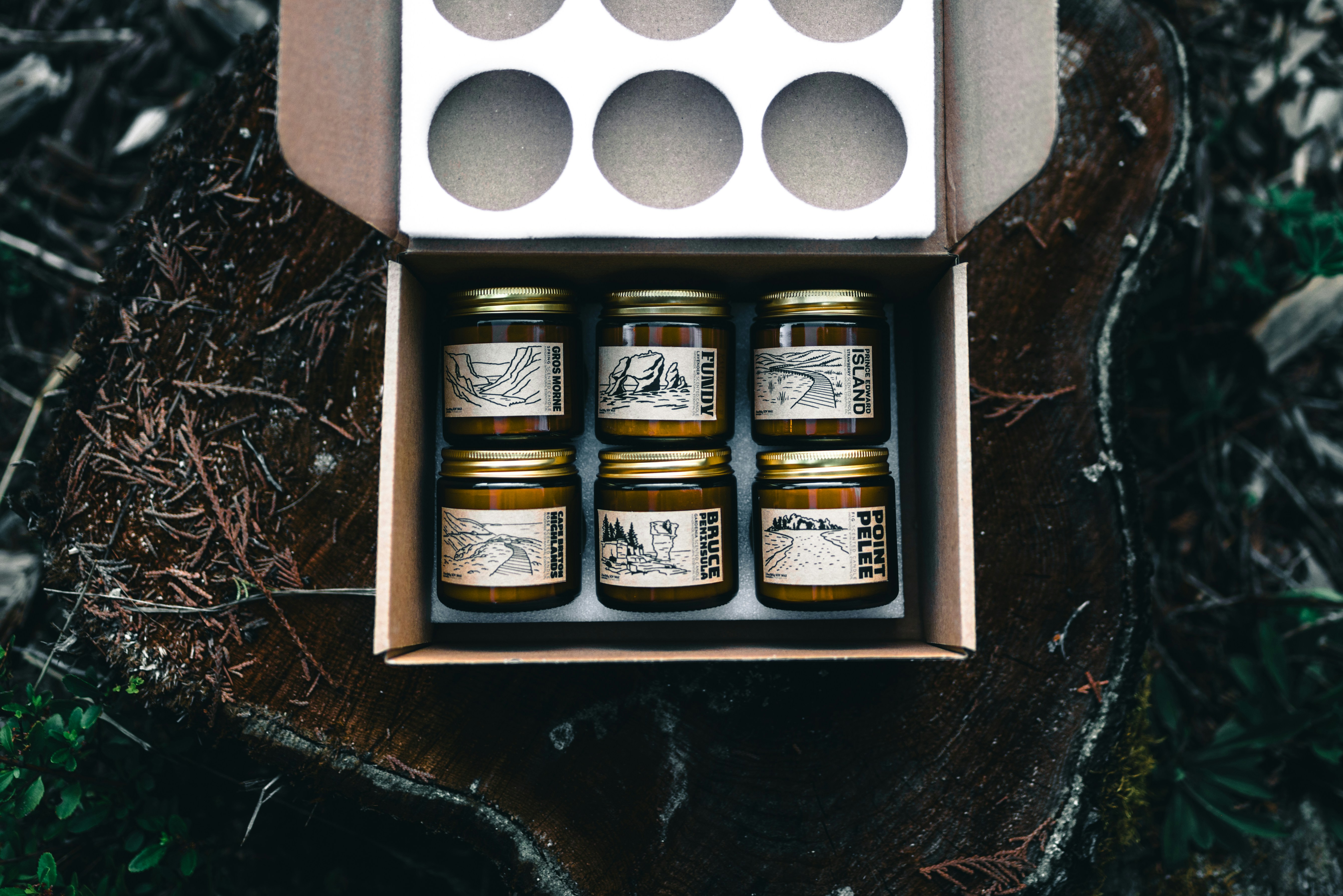 Gift Jar Set Peek: A Boxed Collection Resting on Mossy Ground