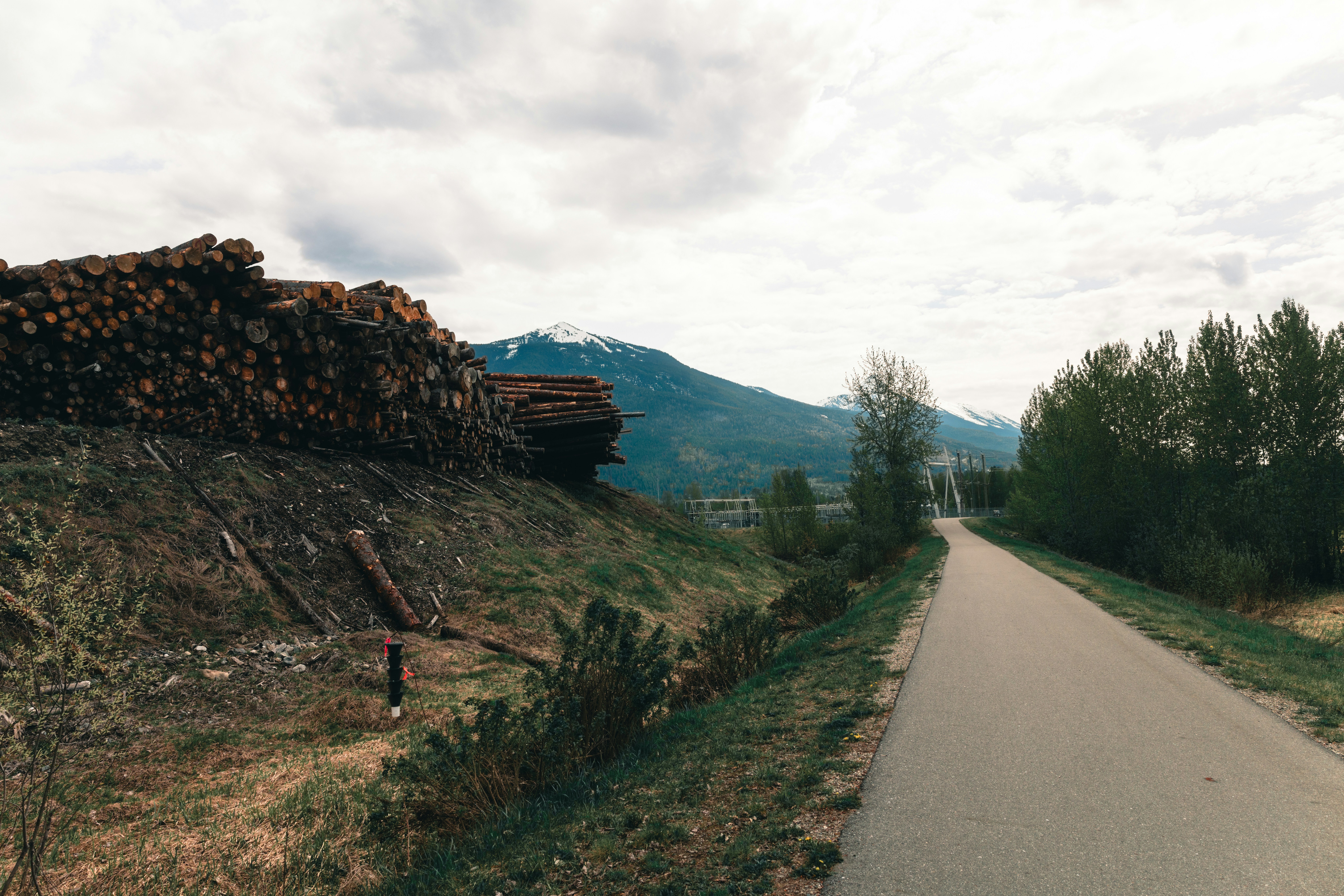 Snow-kissed Peaks and Cart Track: A Quiet Canyon Walk