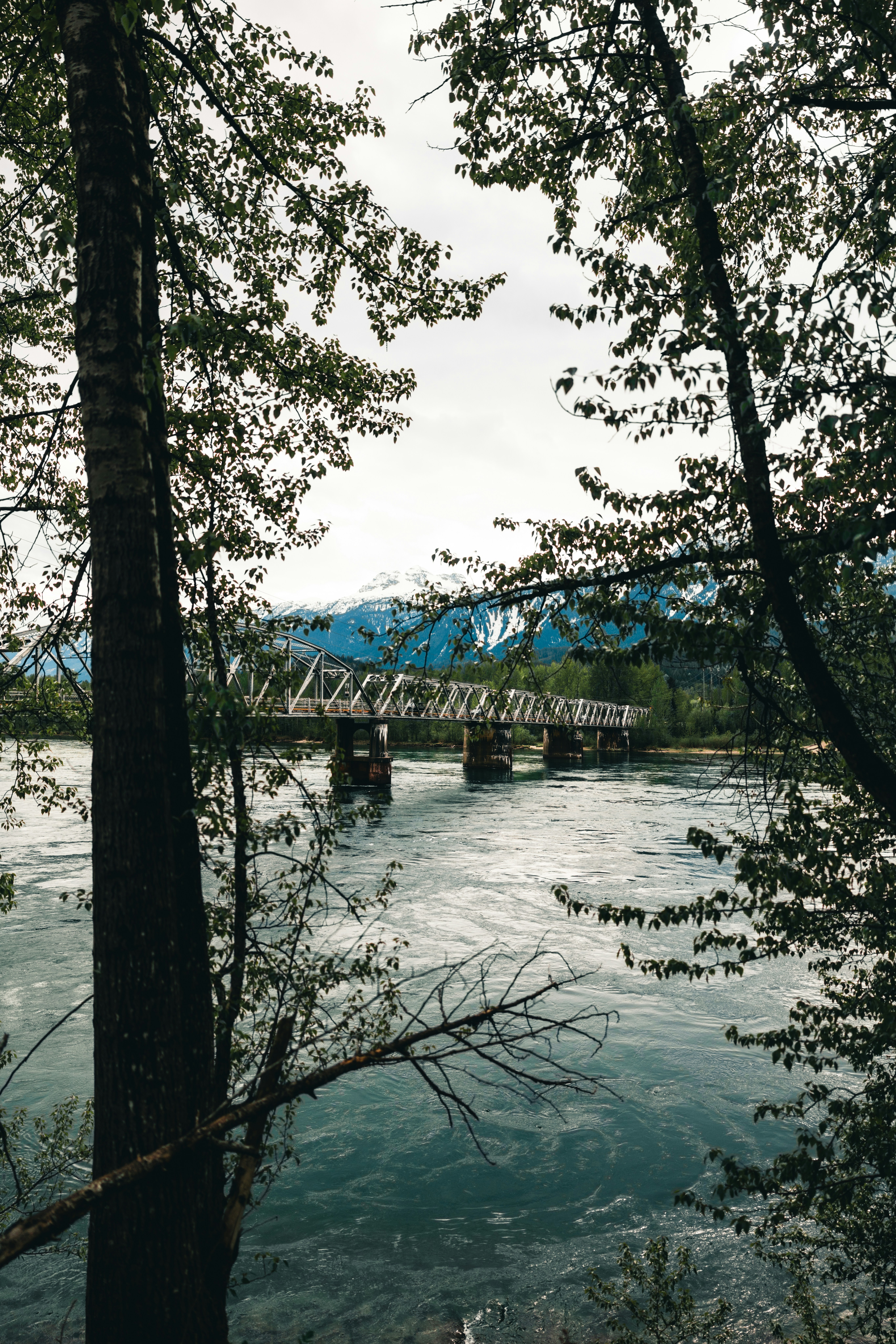 Tranquil river scene framed by overhanging trees with a metal bridge extending across the water.