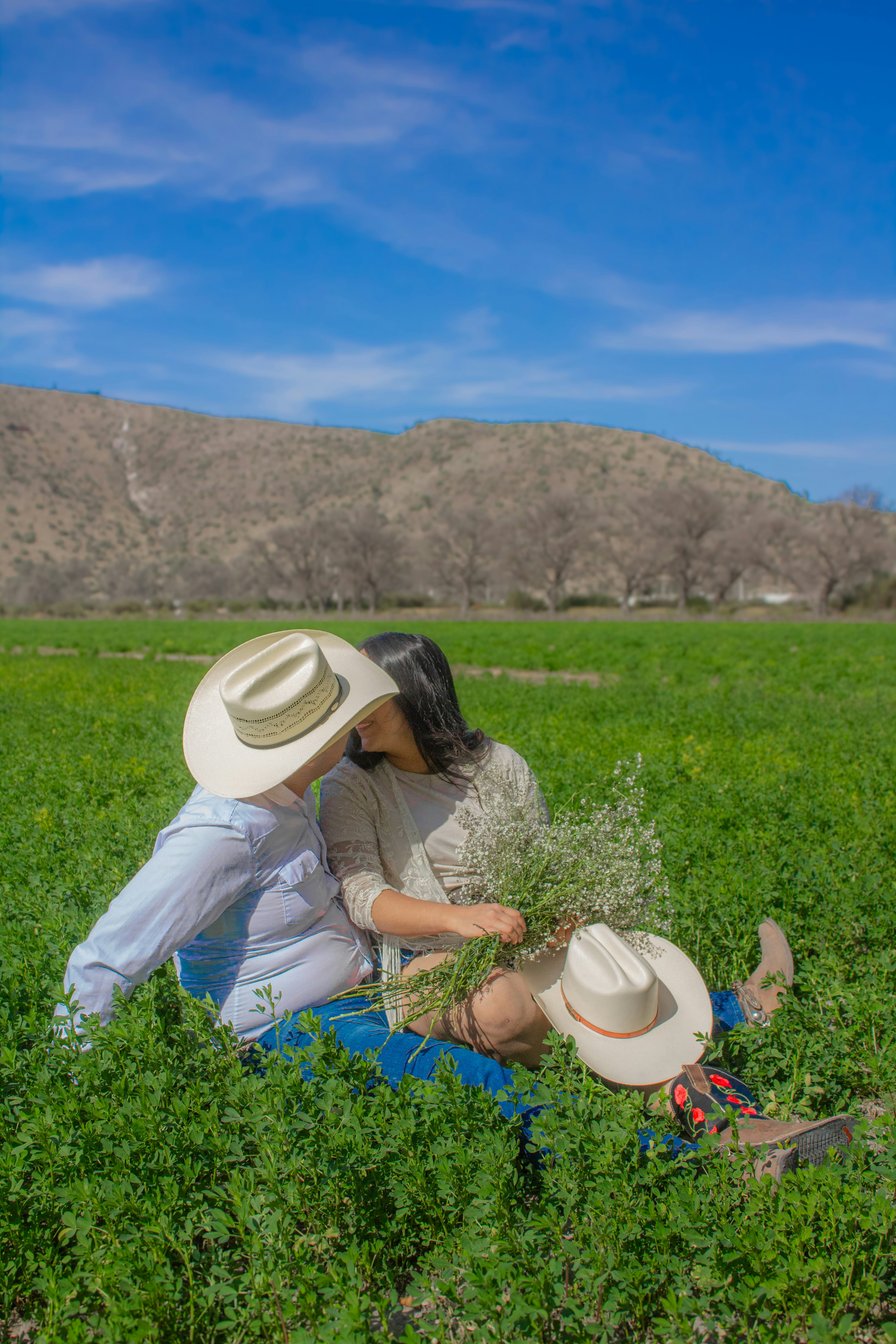 Sunlit Field of Kindred Moments