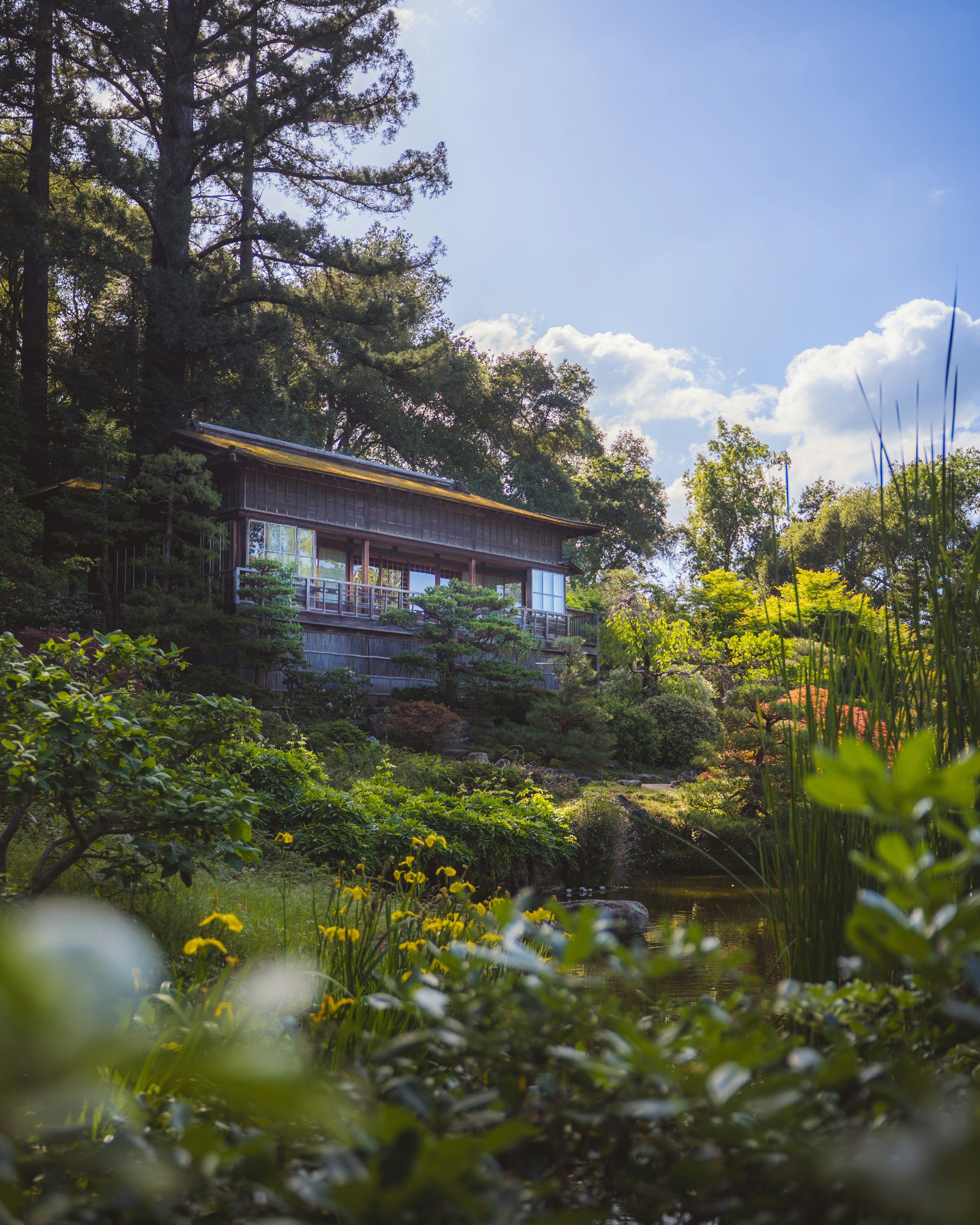 Tranquil Japanese-style retreat perched above a garden pond