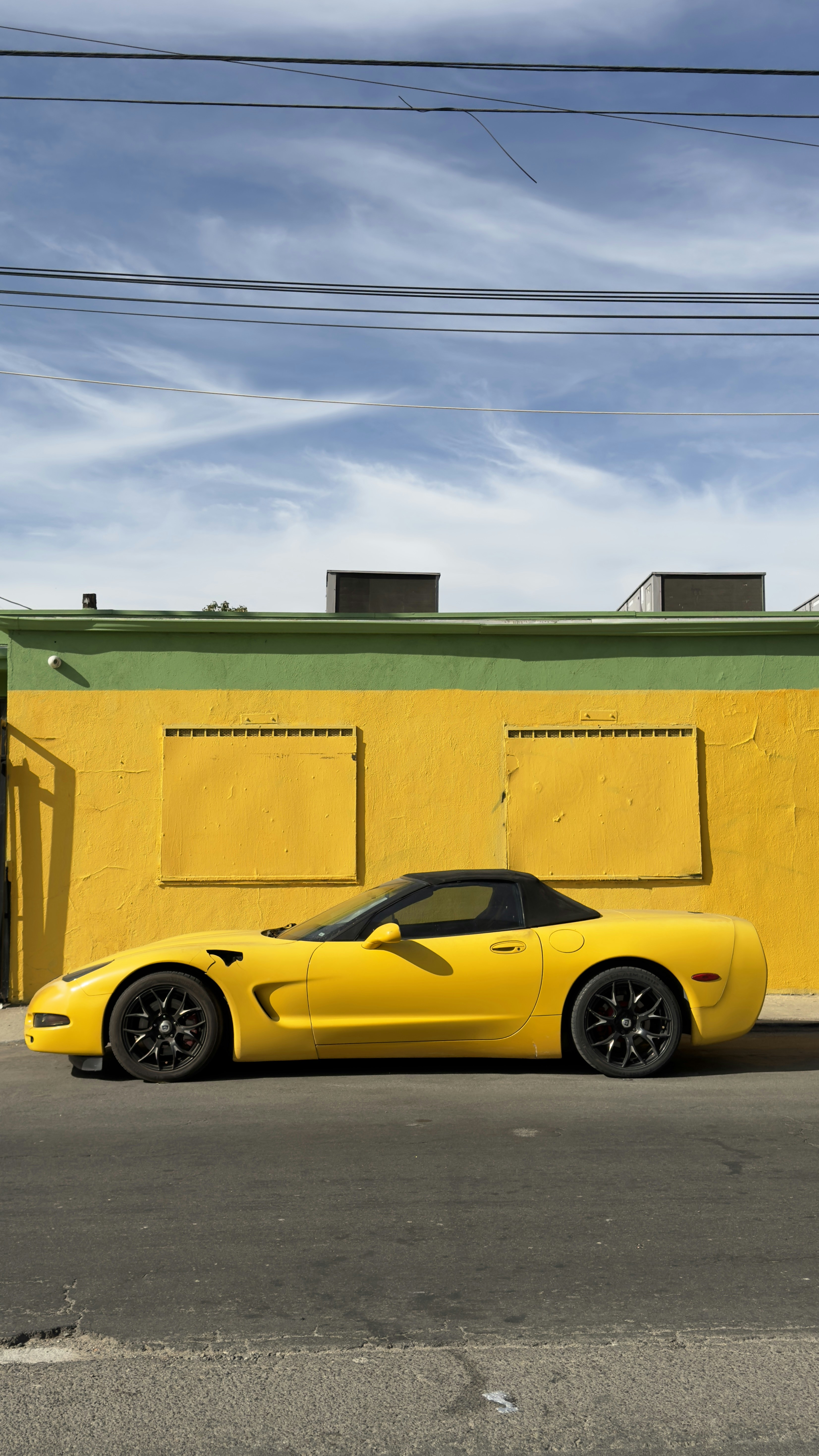 Yellow Thunder Against a Citrus Wall