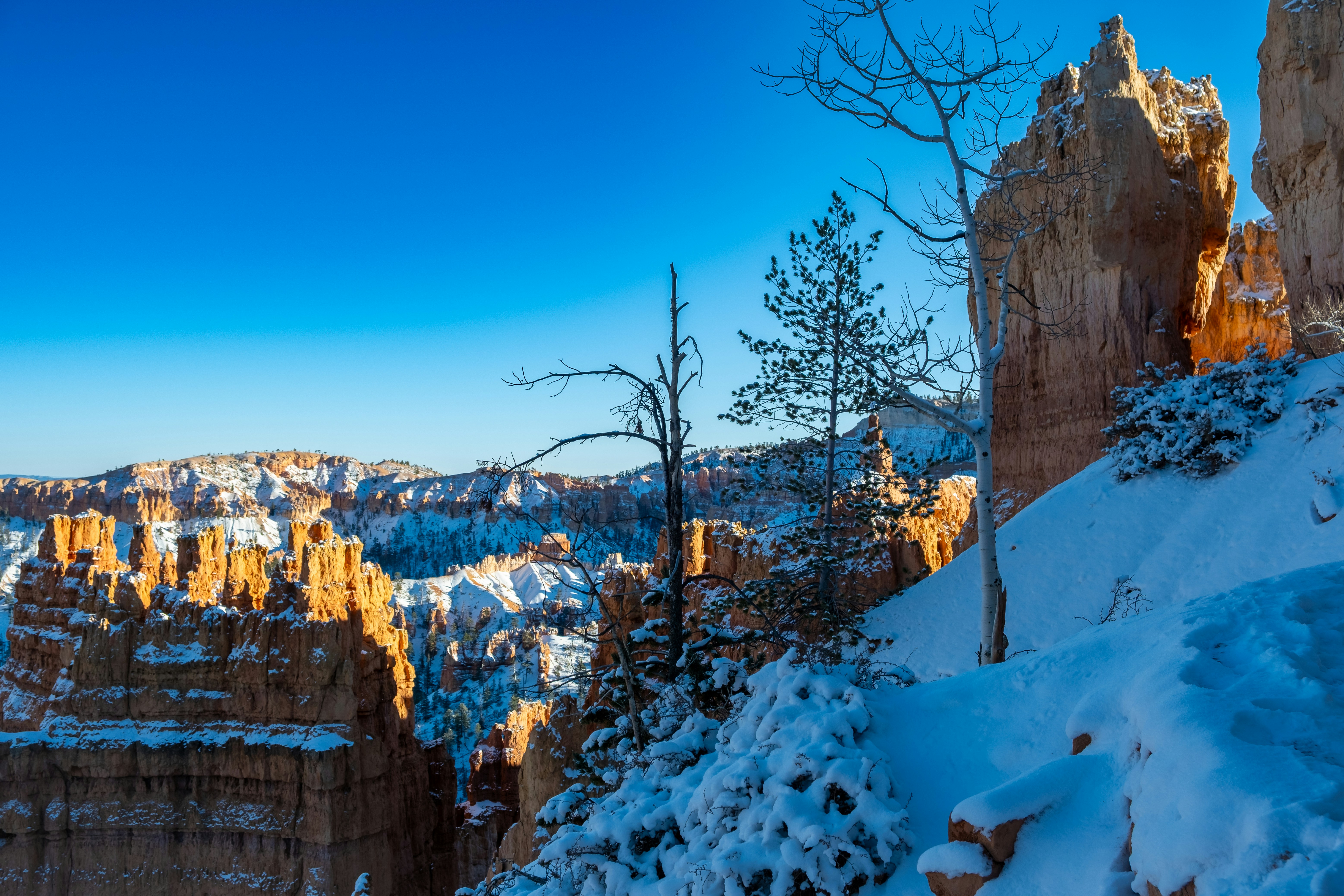 Snow-Crowned Cliffs at Blue Hour
