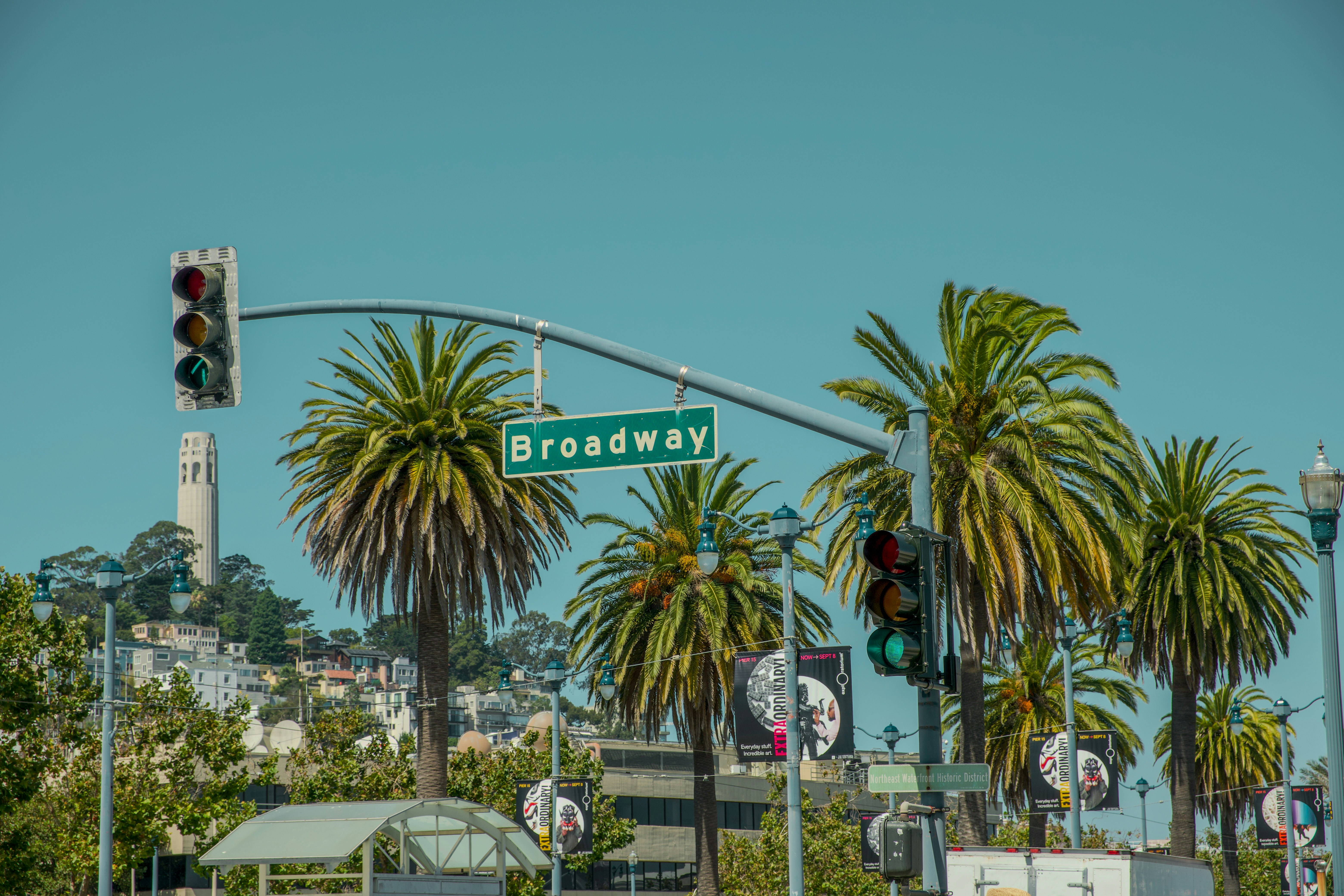 Sunlit Boulevard: Palms, Traffic Lights, and a San Francisco–style Street Sign