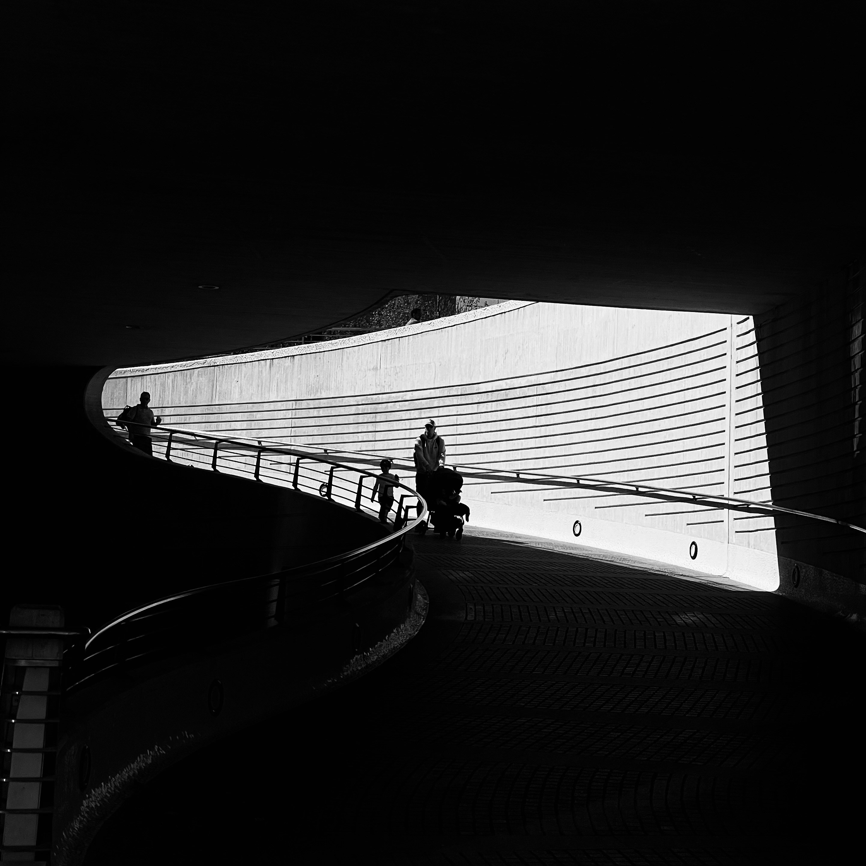 Light at the Curve: A Quiet Ascent in Steel and Shadow