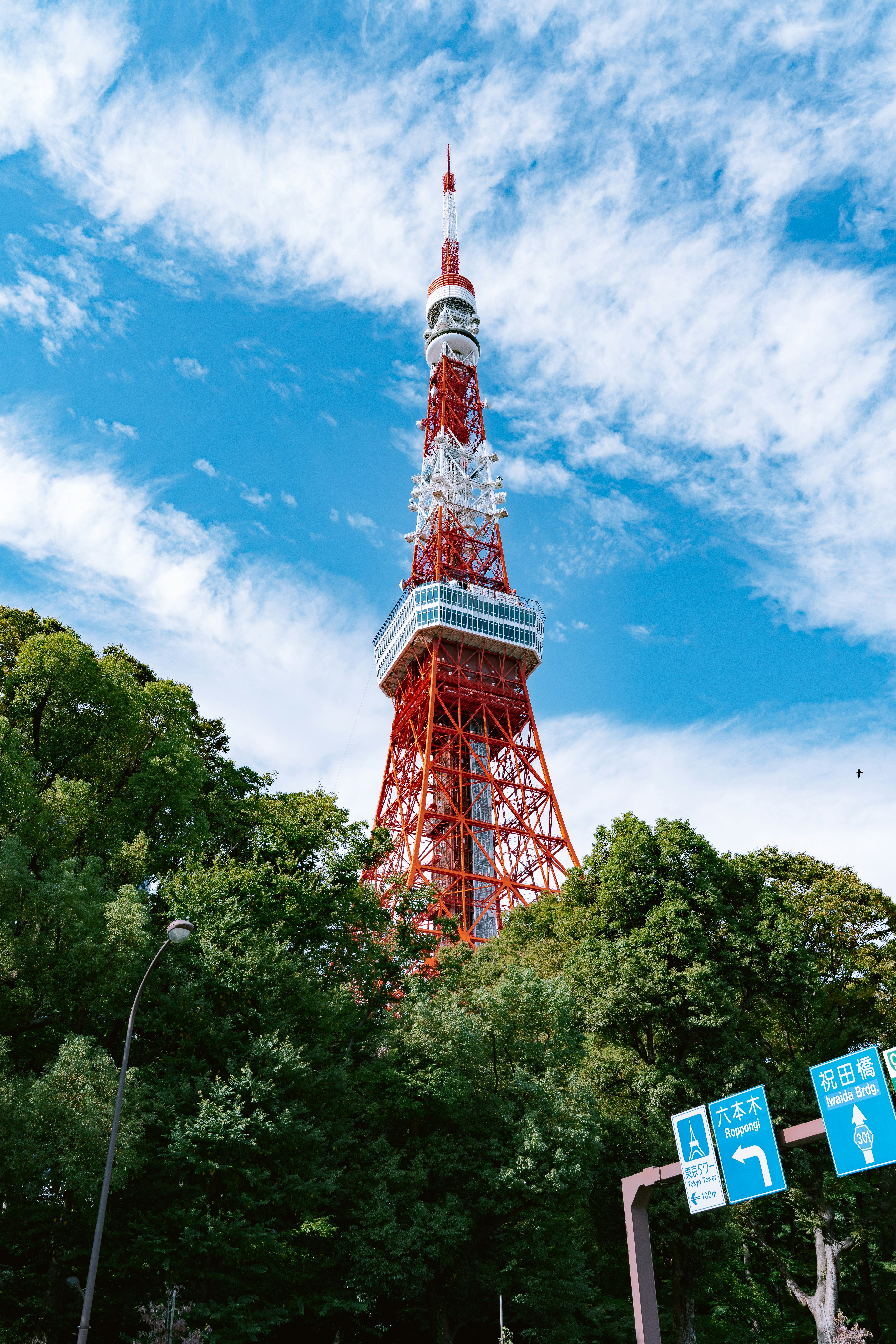 Tokyo Tower Rising Above the Green Canopy