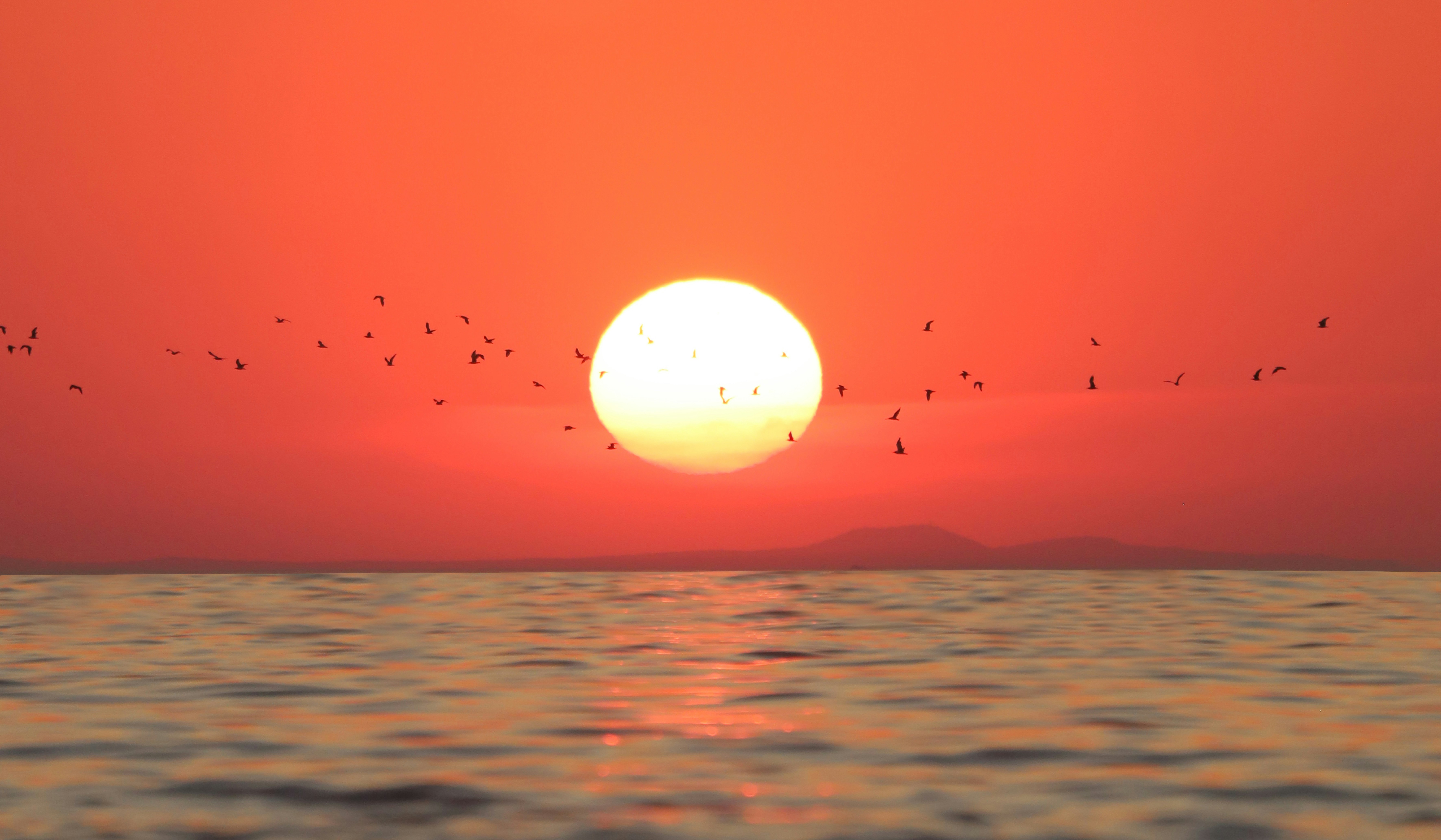 Solar Horizon: Silhouettes in a Flaming Sea