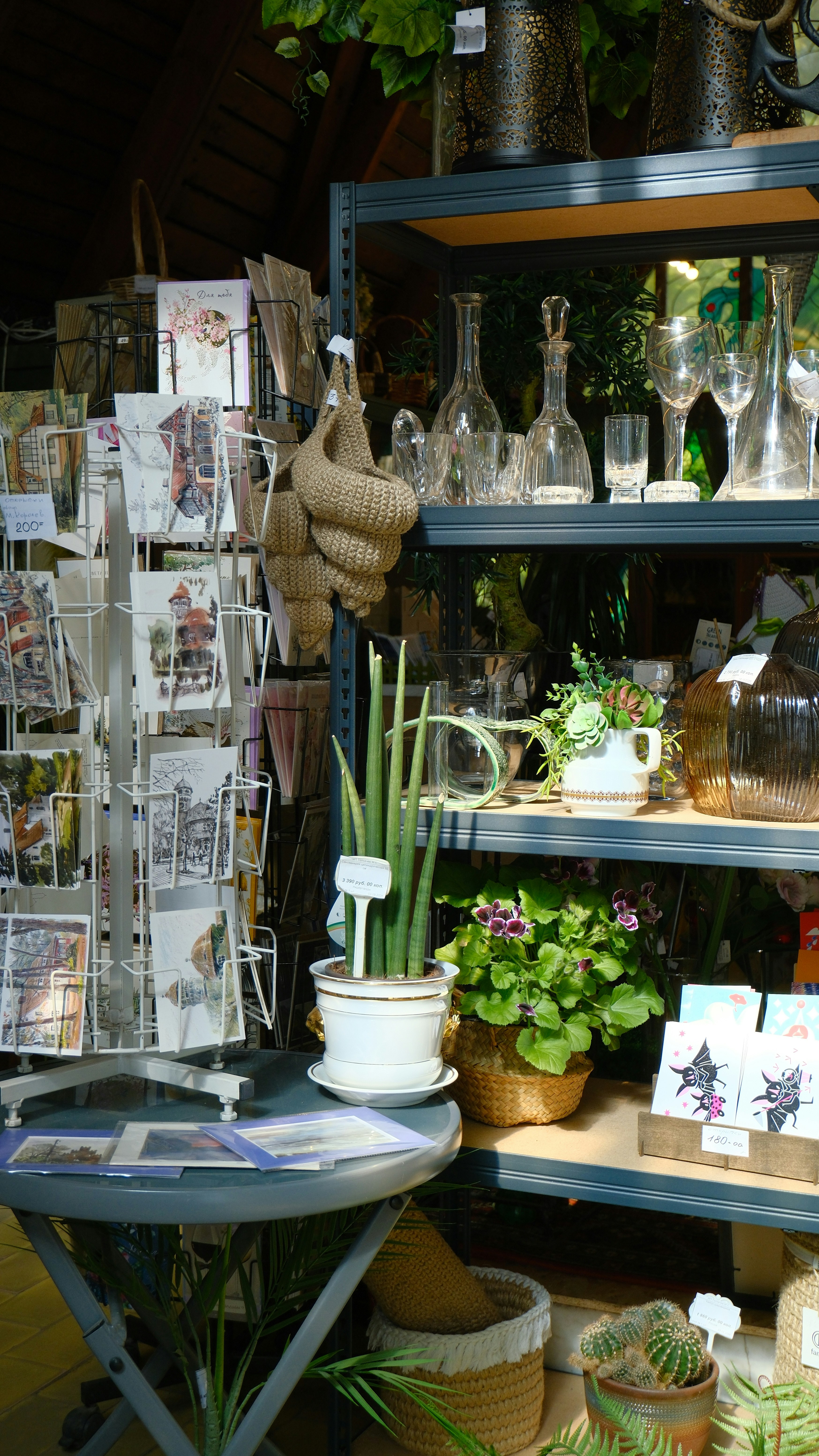 Succulent Still Life in an Eclectic Gift Shop