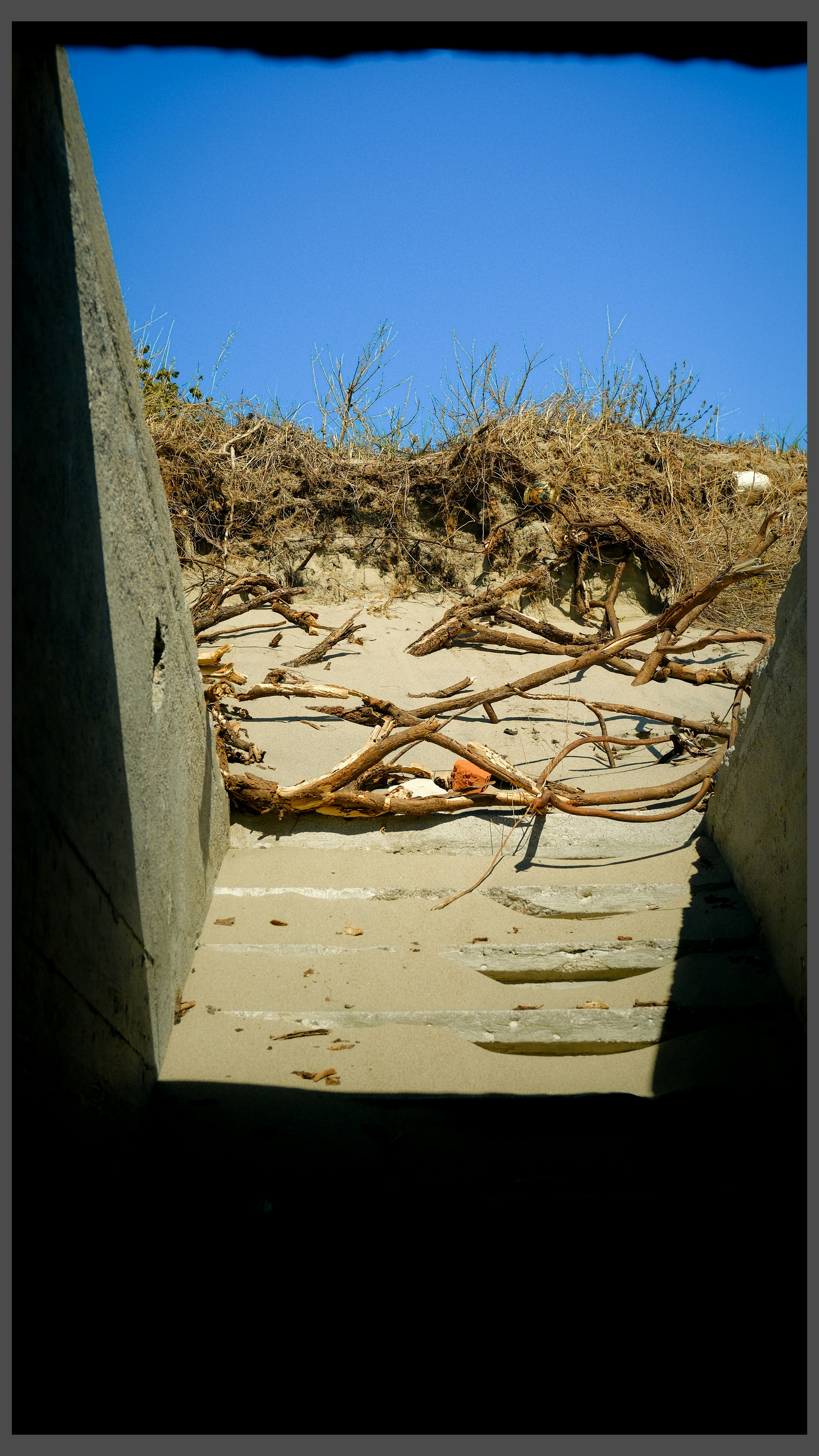 Shadowed Descent: Fragments of Driftwood in a Concrete Gorge