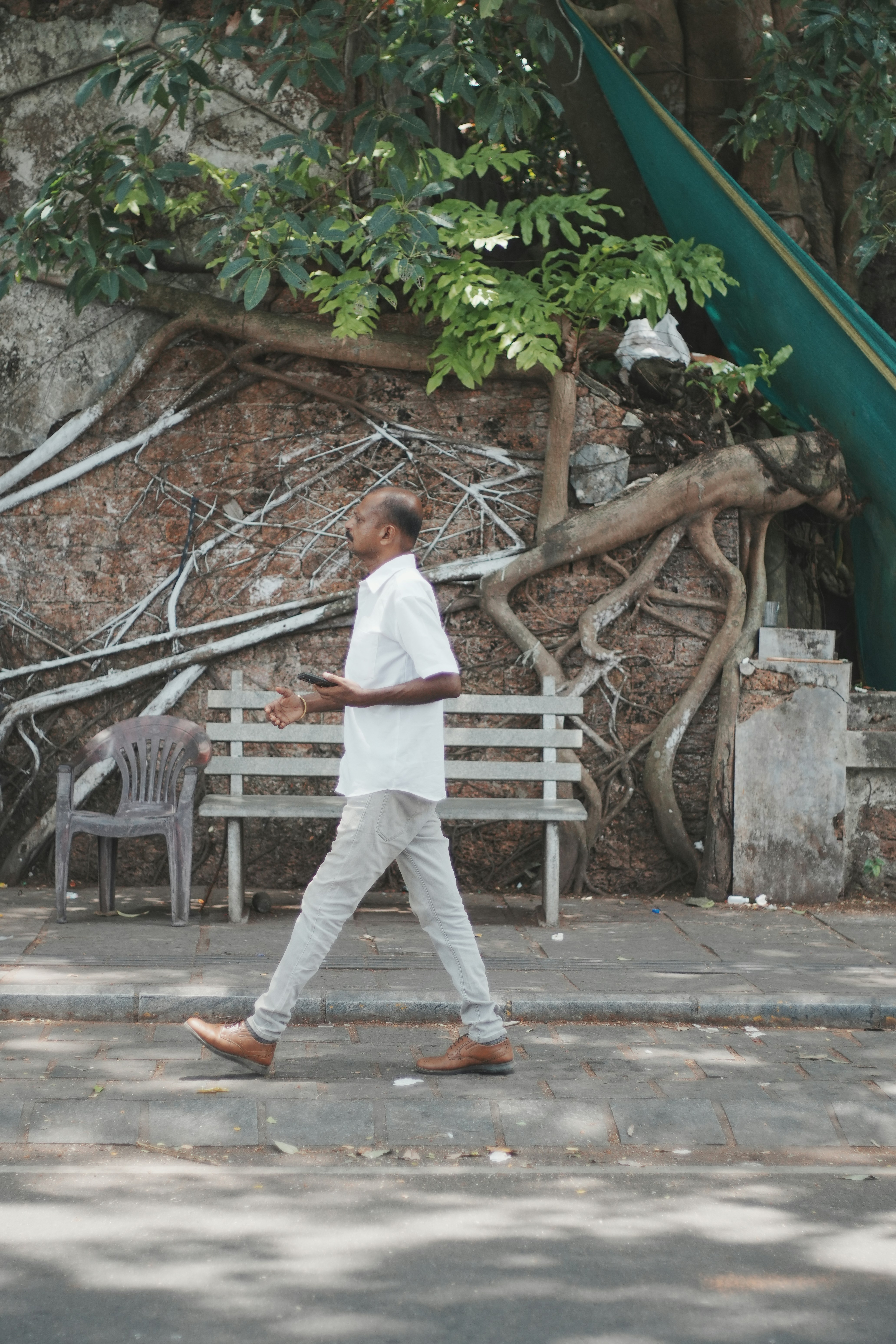 A Quiet Stride Along the Street of Roots