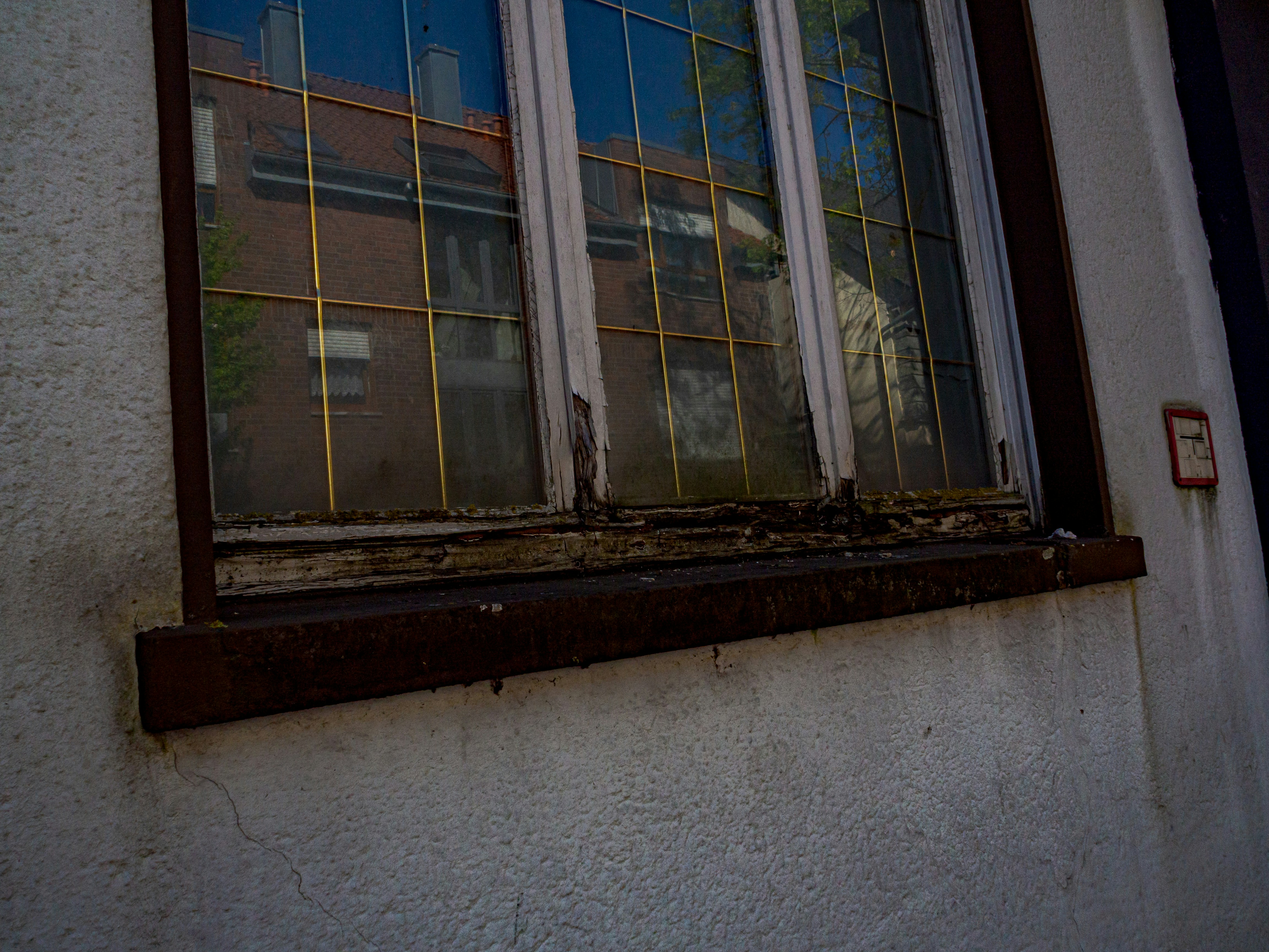 Windowed Echoes: A Weathered Facade Lifted by Gridded Light