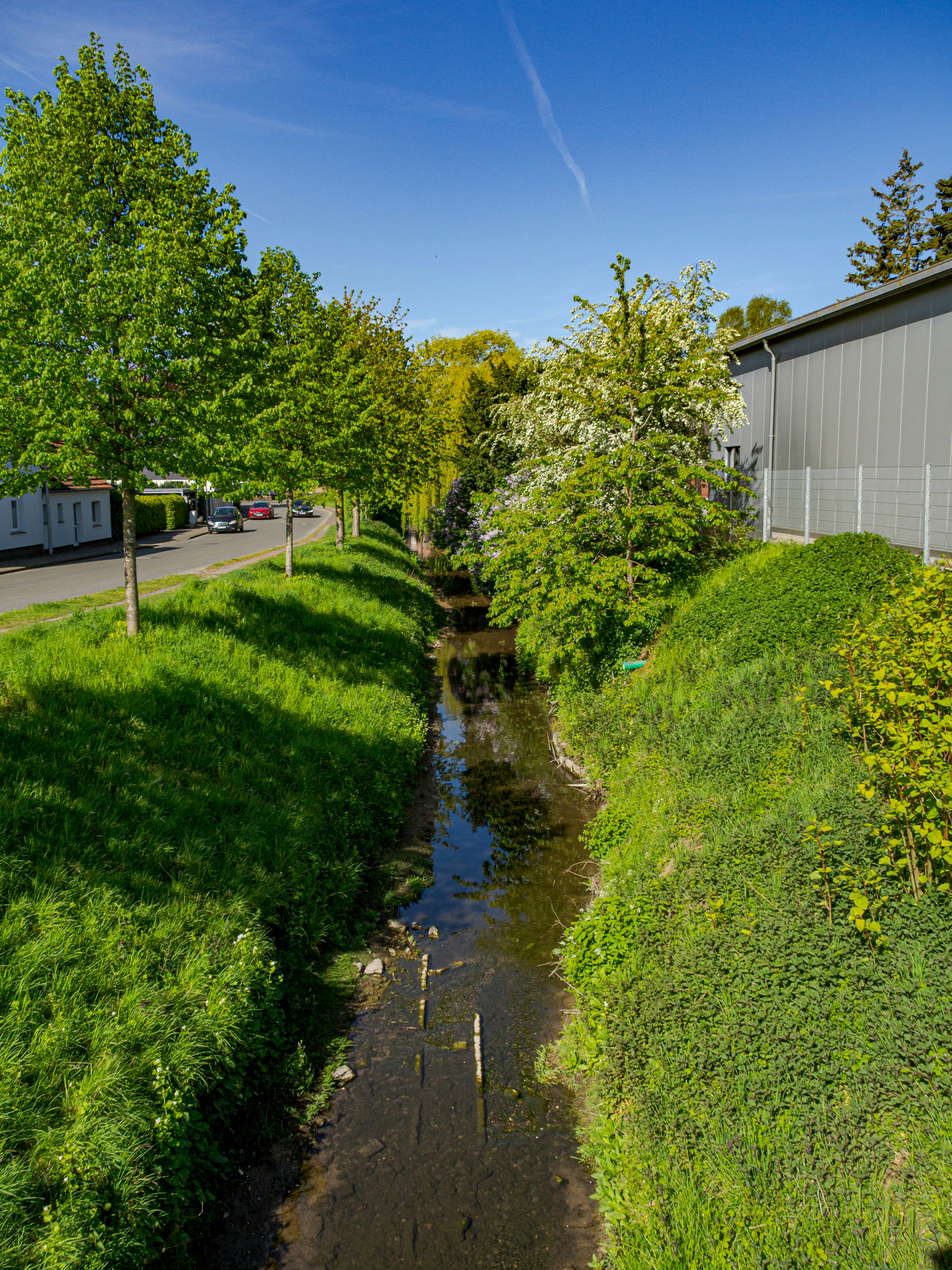 Sunlit Urban Canal Corridor with Lush Greenery